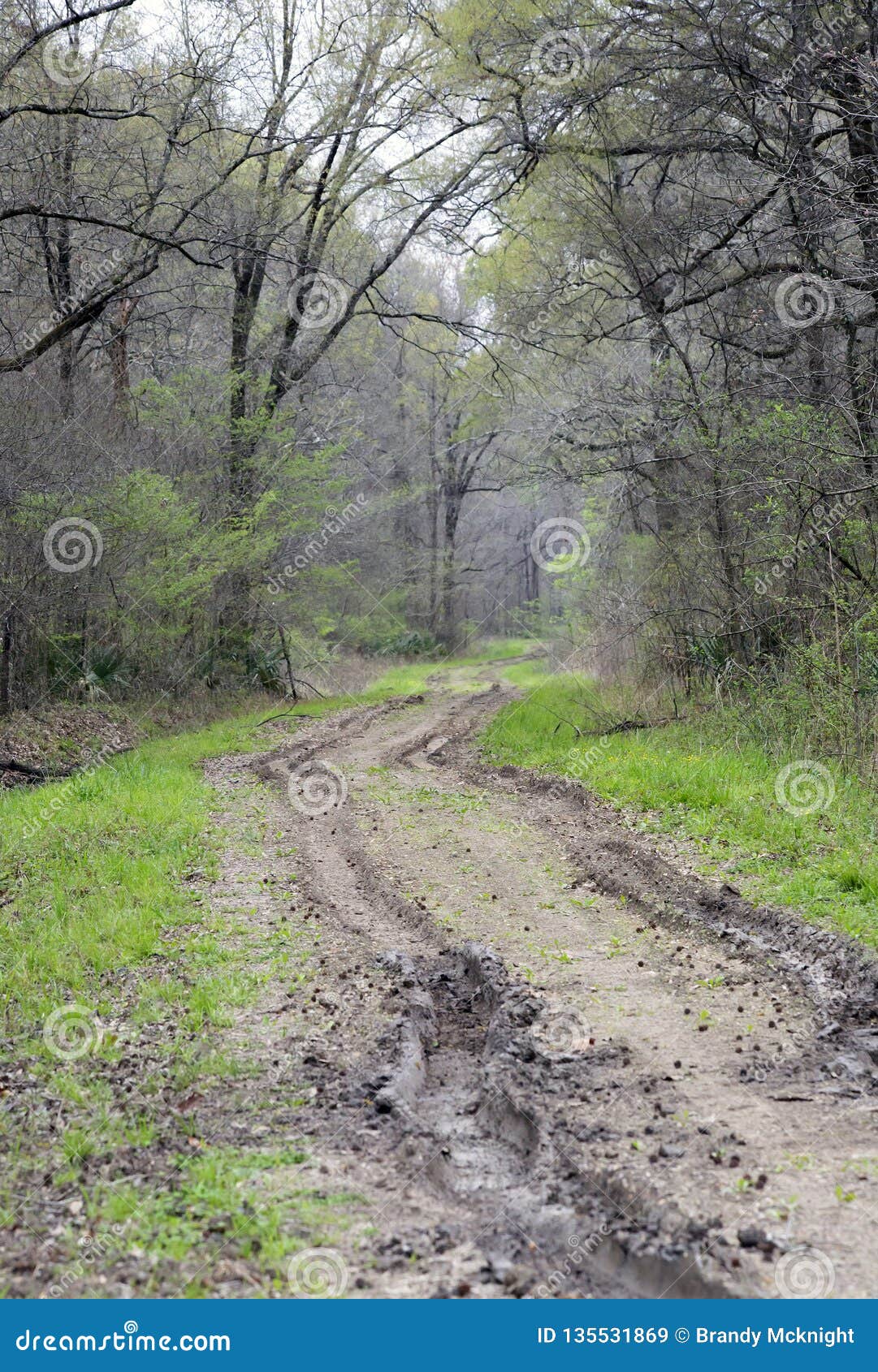 Muddy Dirt Road stock image. Image of muck, country - 135531869