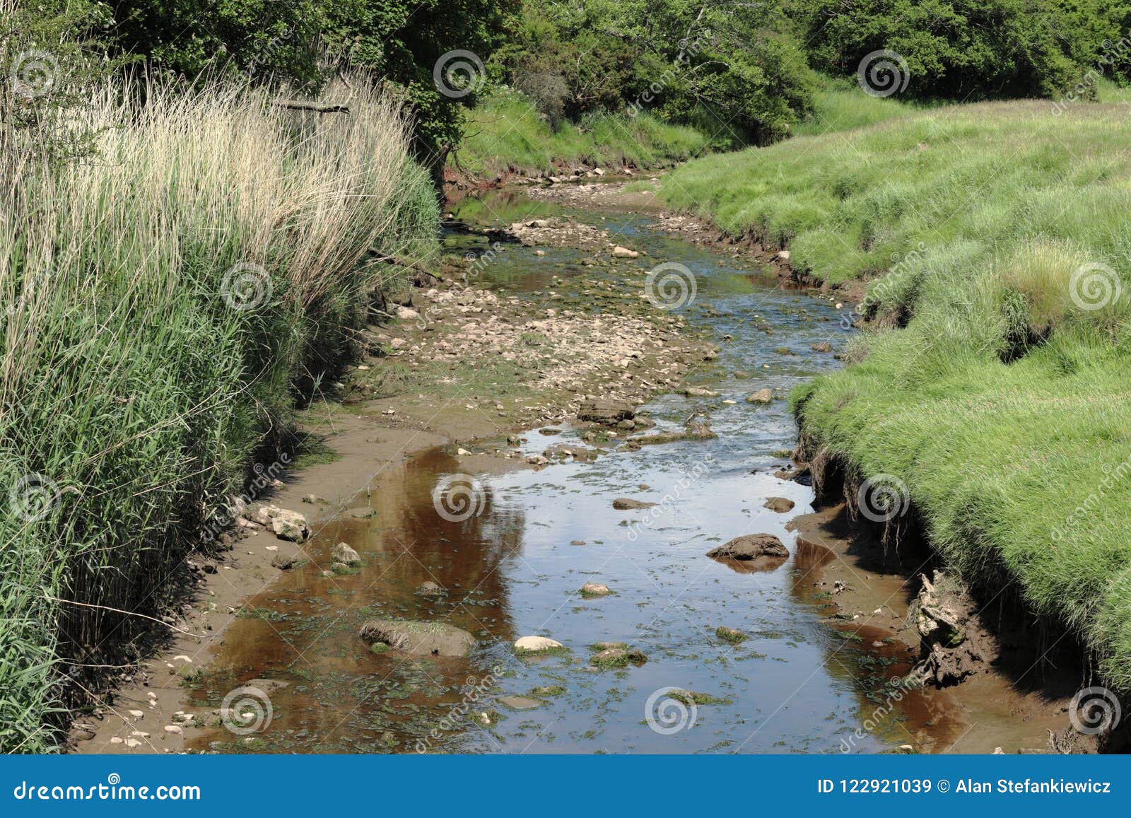 Muddy and dirty stream stock image. Image of landing - 122921039