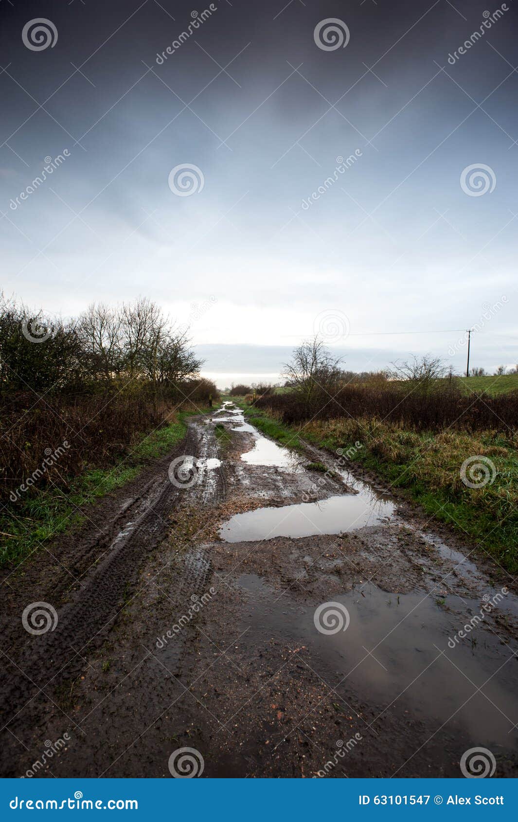 Muddy farm track stock image. Image of water, gate, stormy - 63101547