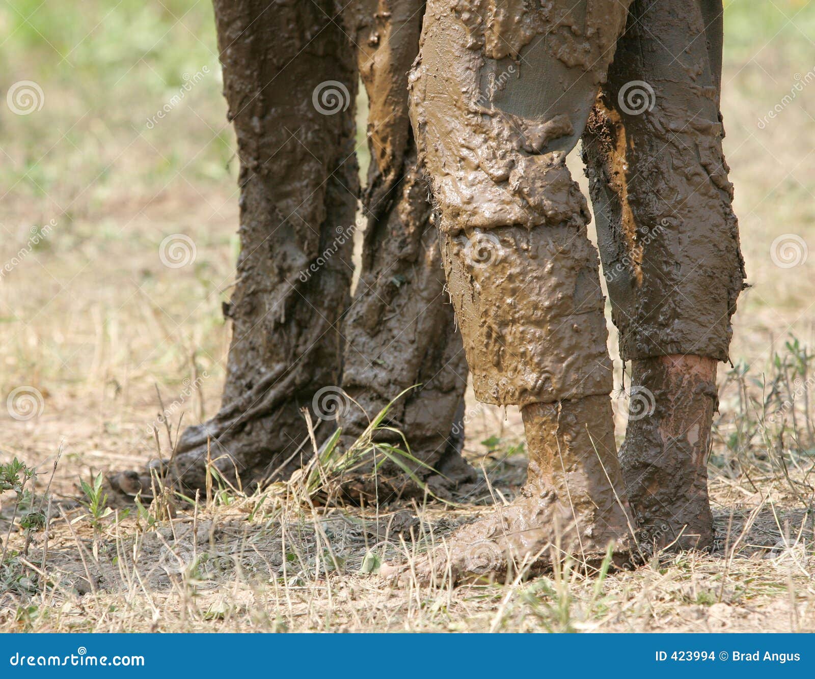 Muddy feet stock photo. Image of grime, field, competition - 423994