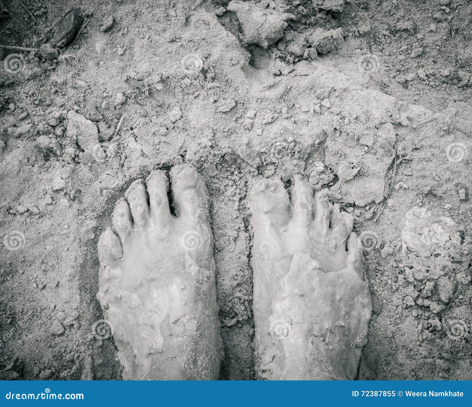 Muddy Feet Of A Young Woman Royalty-Free Stock Photography ...