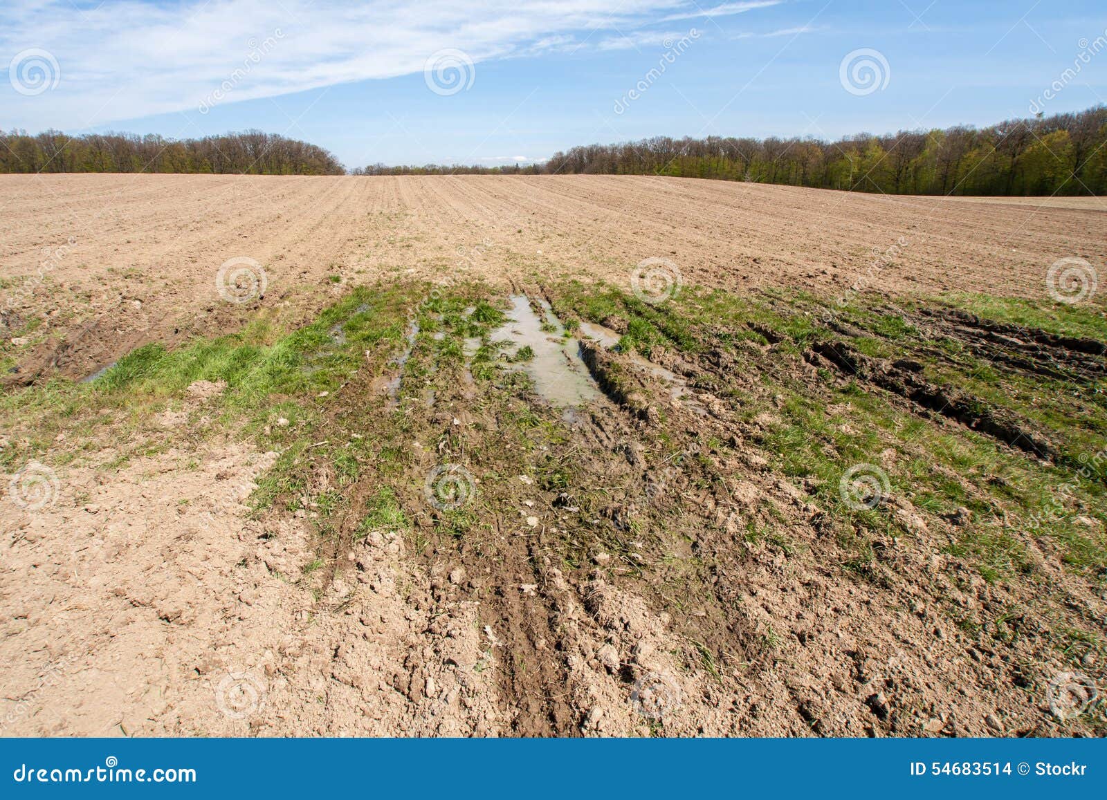 Muddy field stock photo. Image of field, lawn, muddy - 54683514