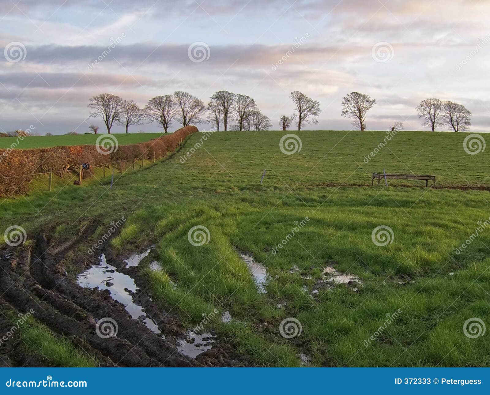 Muddy Field at Dusk stock image. Image of field, clouds - 372333