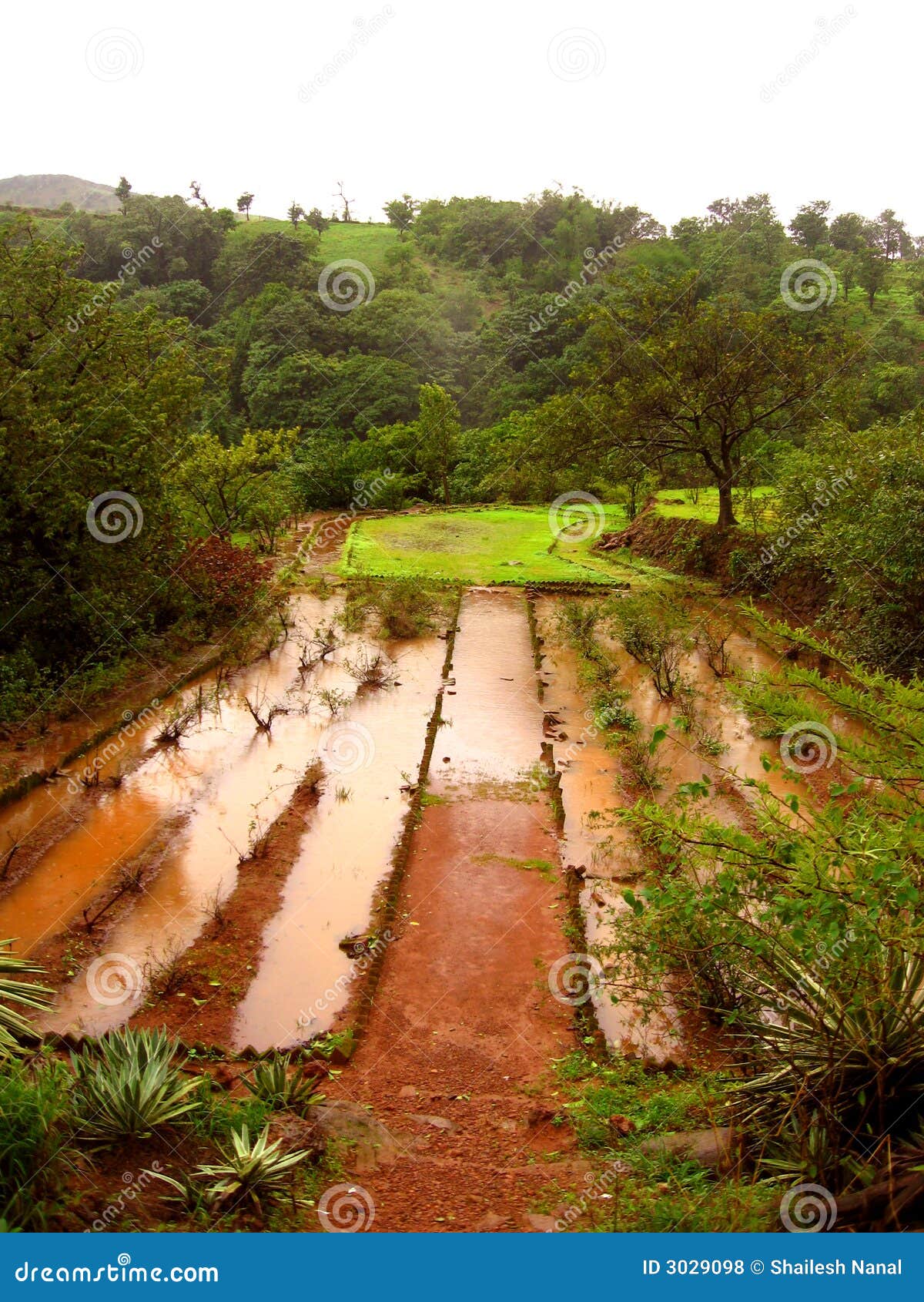Muddy Field On Farm Royalty Free Stock Photos - Image: 3029098