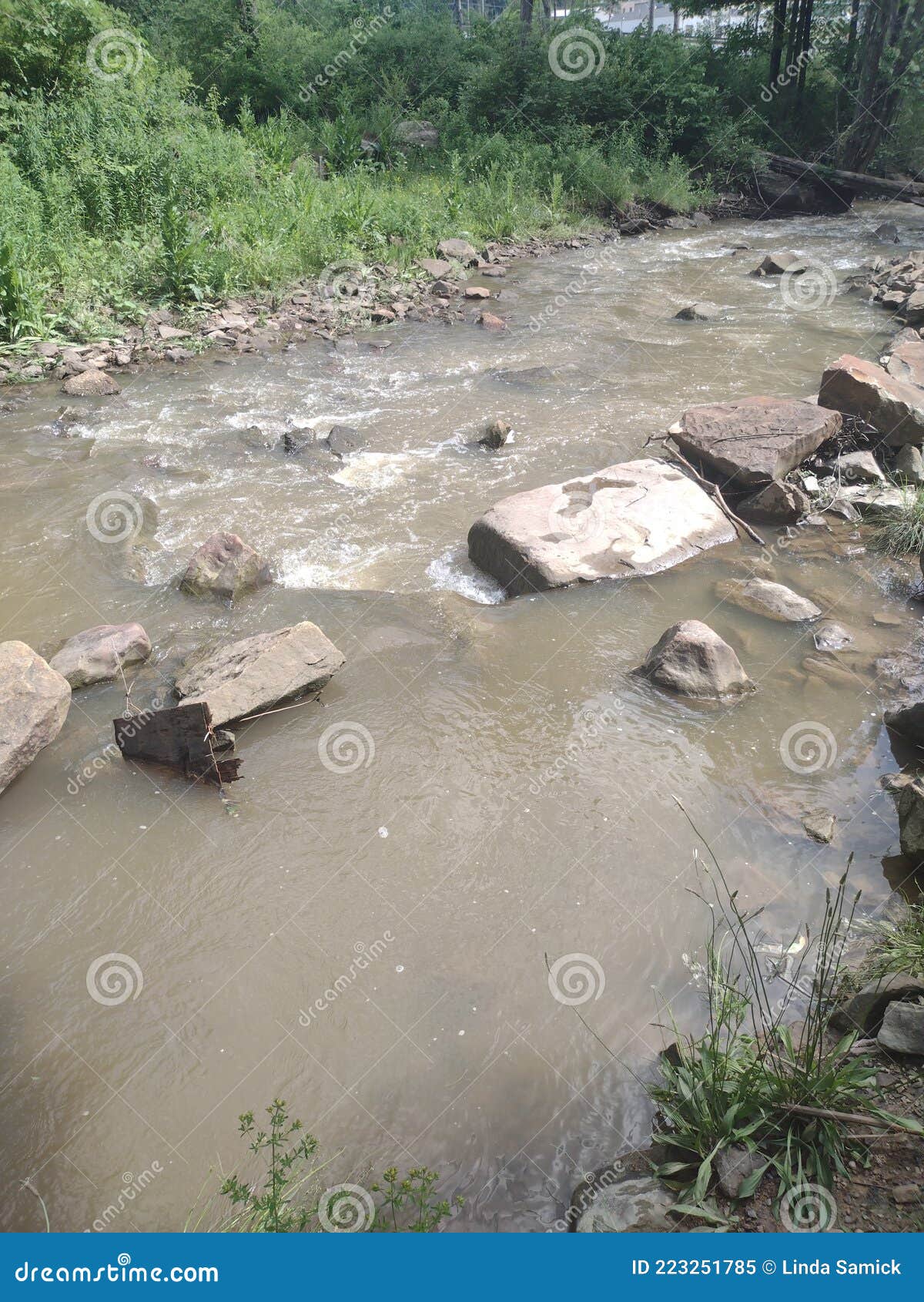 Muddy Flooded Stream stock image. Image of muddy, water - 223251785