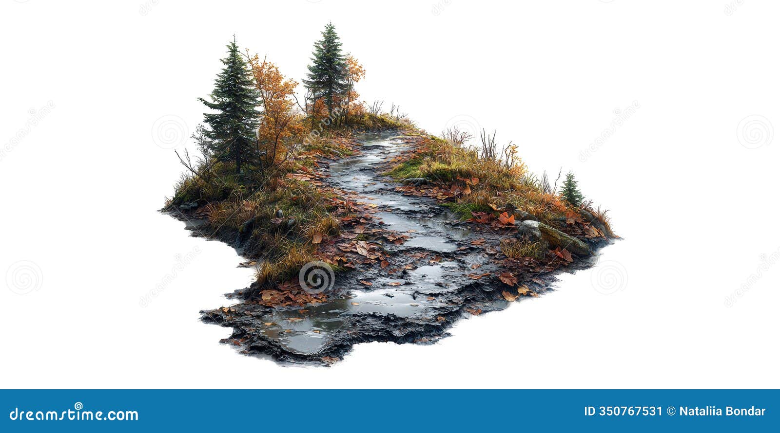 Muddy Forest Path with Pine Trees Isolated on Transparent Background ...