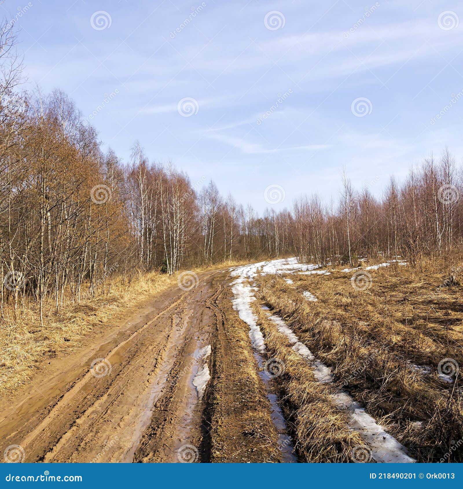 Muddy forest road stock image. Image of ground, forest - 218490201