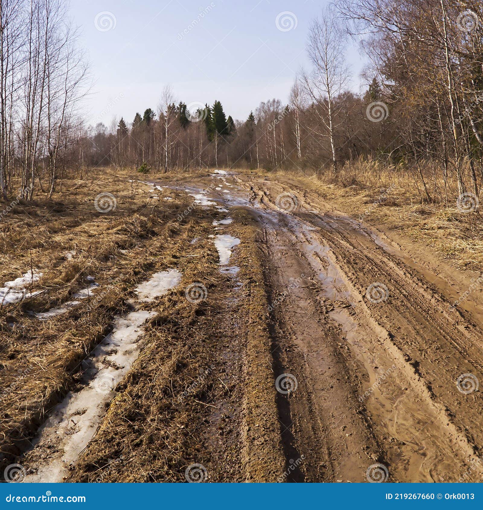 Muddy forest road stock photo. Image of path, brown - 219267660
