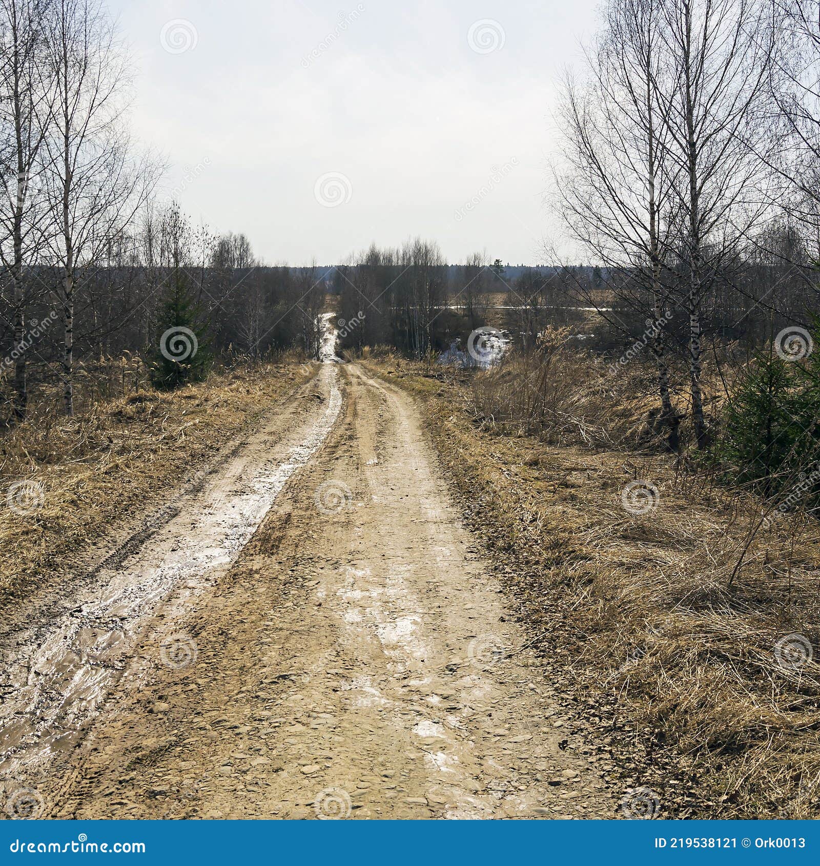 Muddy forest road stock image. Image of outdoor, land - 219538121