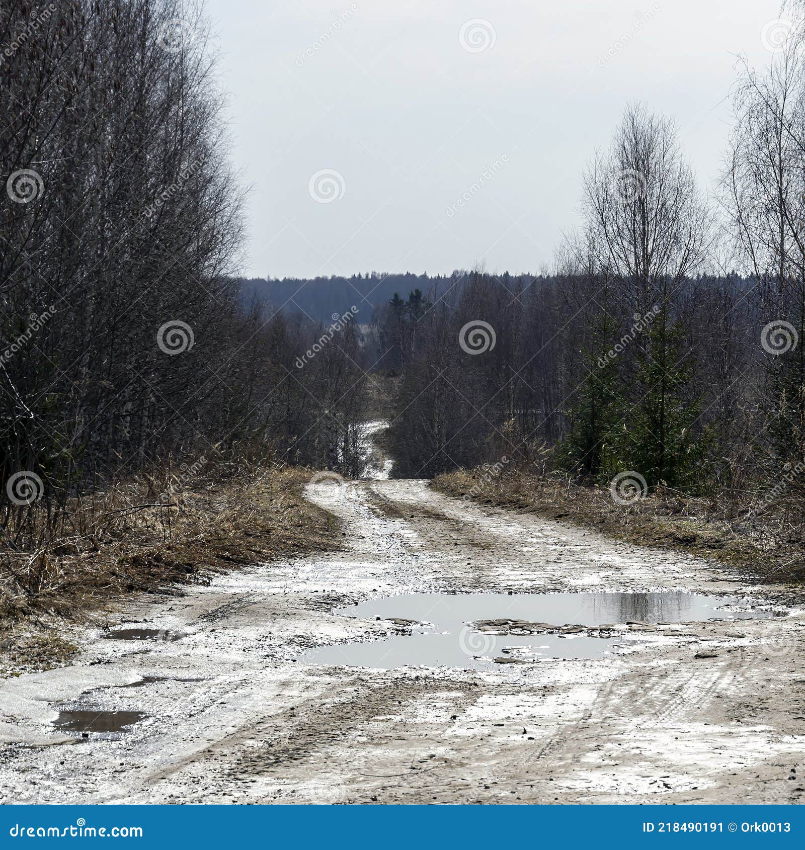Muddy Forest Road At Night With Lighted Lanterns Hanging On Wooden ...