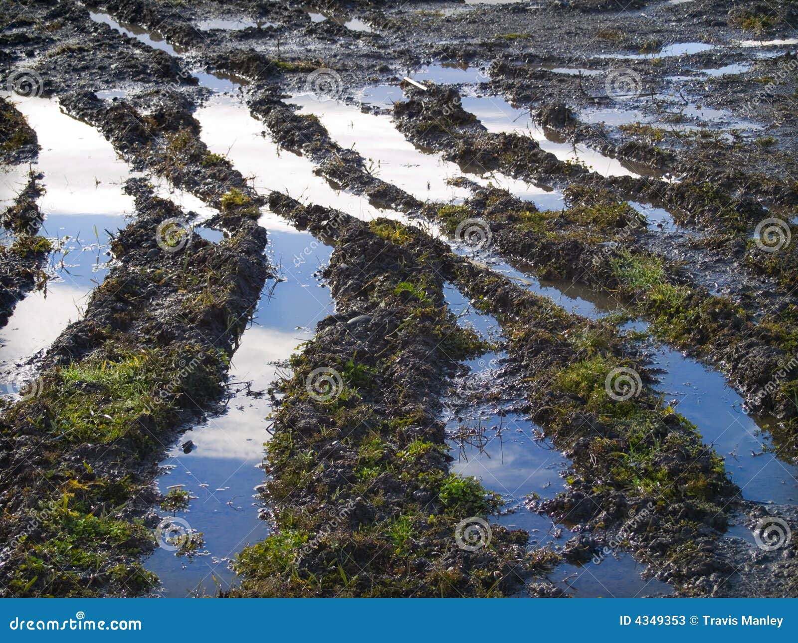 Muddy Ground stock image. Image of trails, dirty, outdoors - 4349353