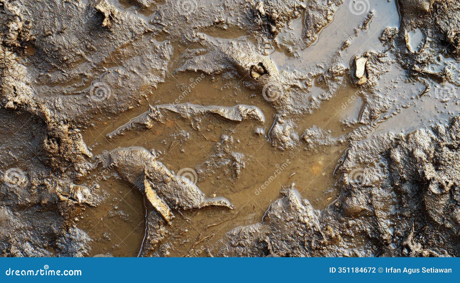 Muddy Ground Surface with Water Puddles and Footprints Stock ...