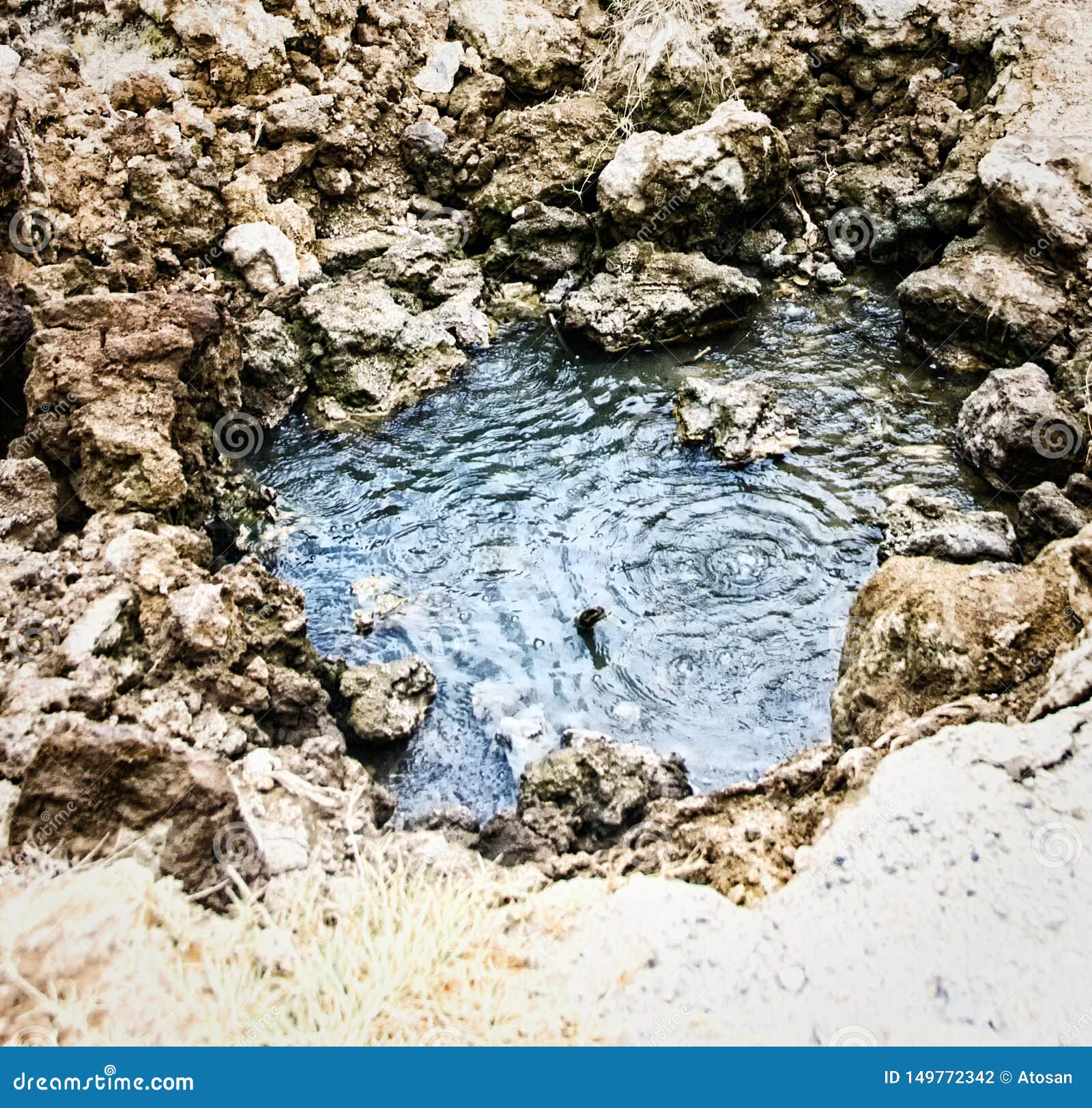 Muddy hot spring stock photo. Image of deadly, hydrothermal - 149772342