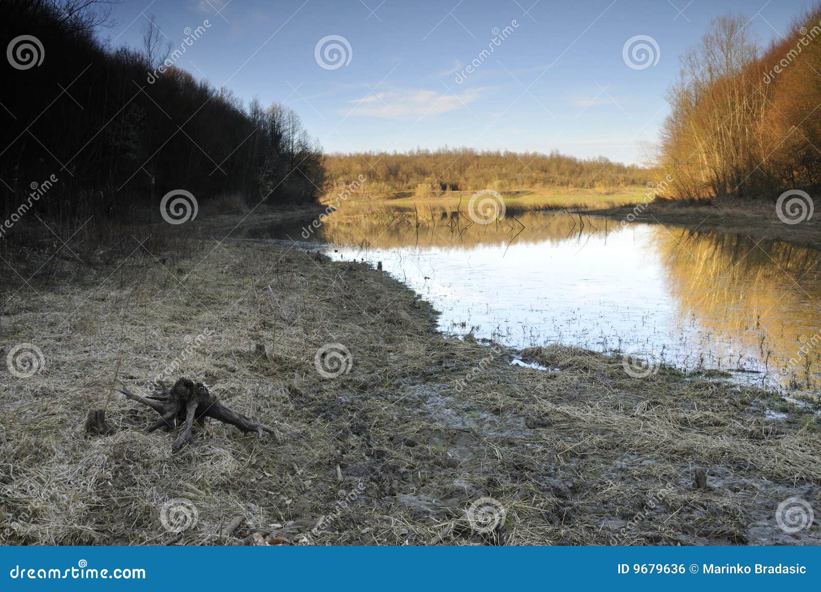 Muddy lake stock photo. Image of forest, clouds, bushes - 9679636