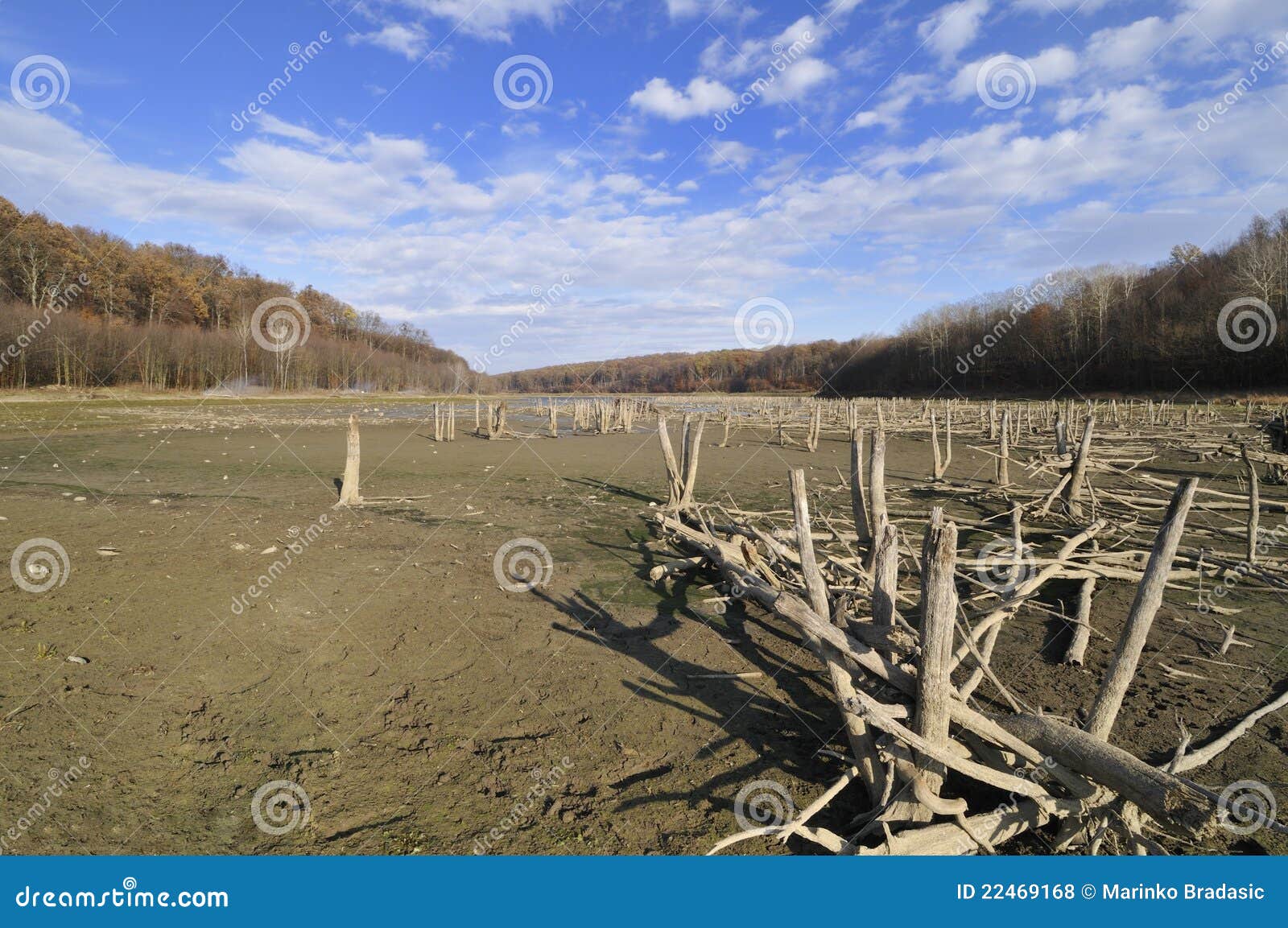 Muddy lake coast stock photo. Image of blue, daylight - 22469168