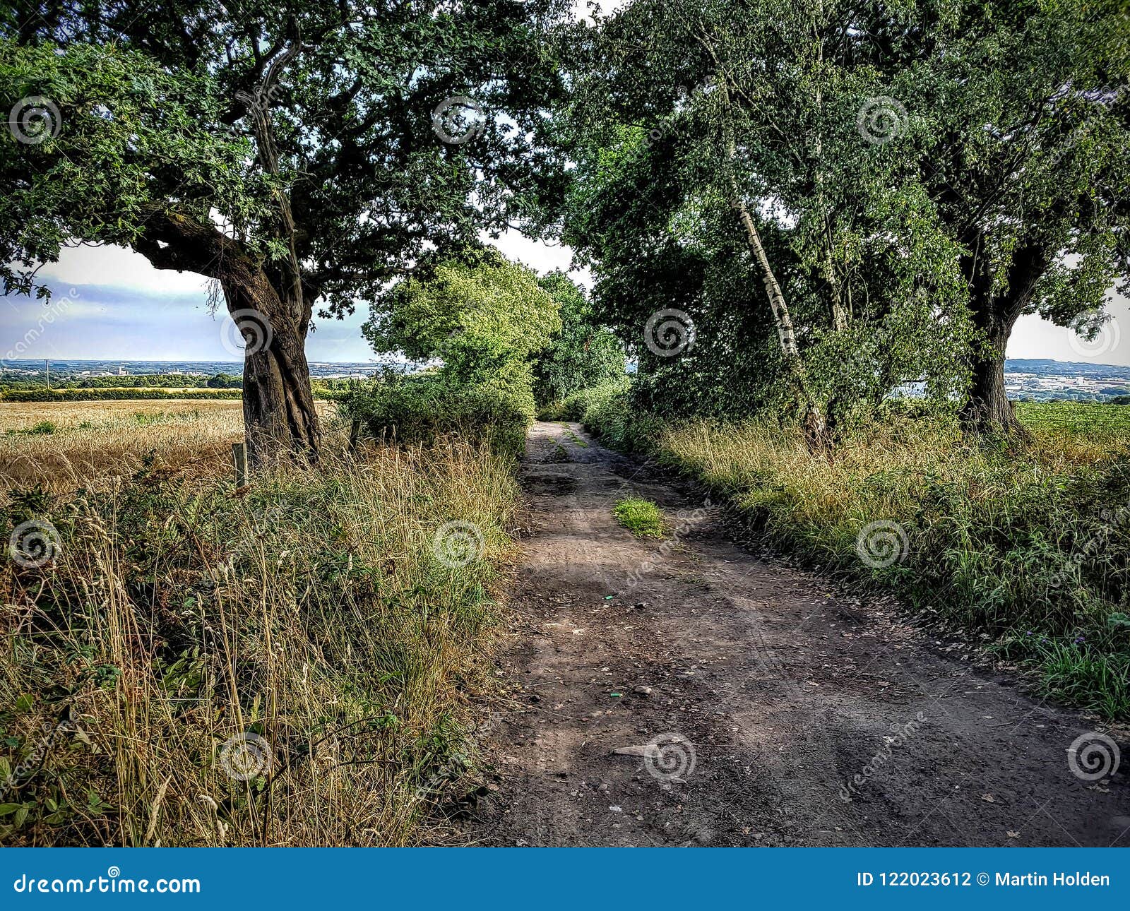 Muddy Lane and Tracks stock photo. Image of rural, green - 122023612