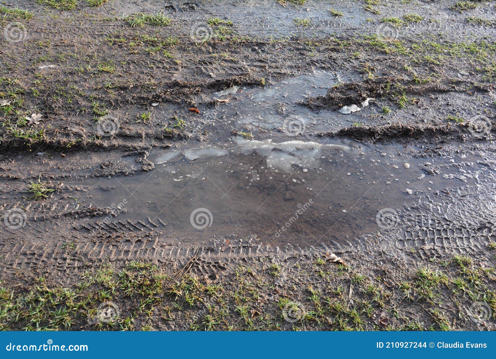 Muddy Earth with Meadow and Ice Stock Photo - Image of nature, puddle ...