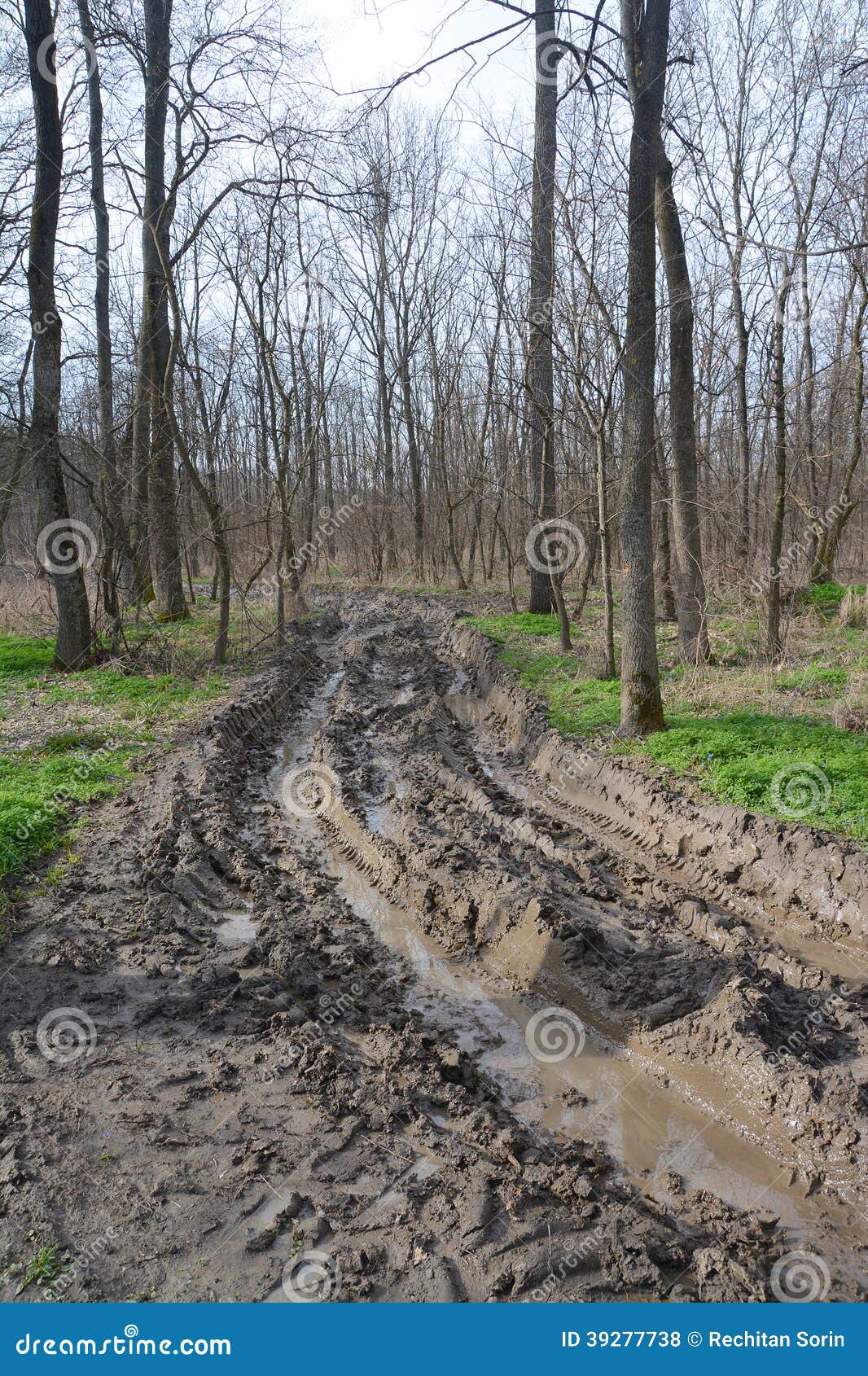 Muddy offroad track stock photo. Image of countryside - 39277738