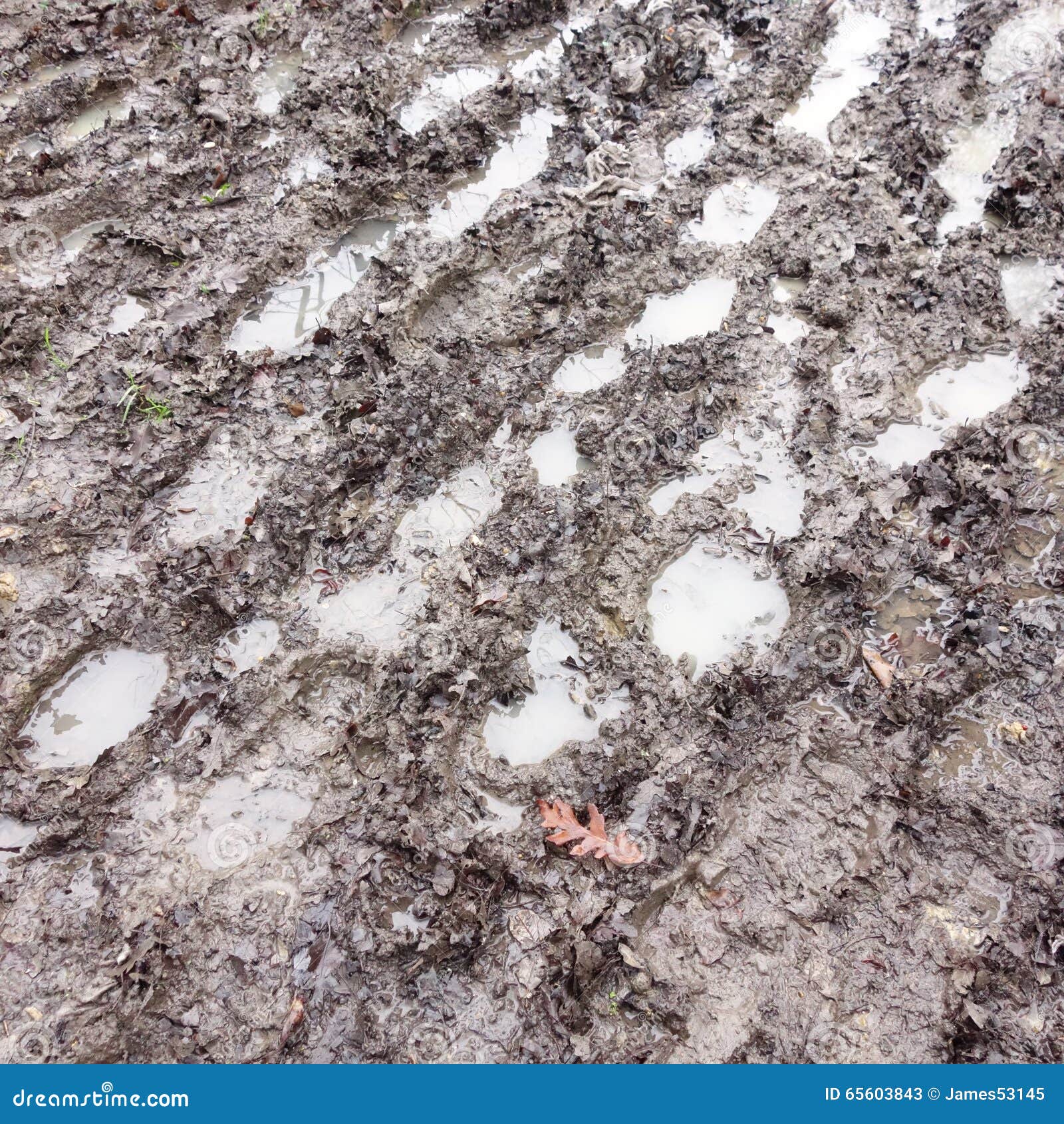 Muddy Path On Cidade Lakes On The Azores Islands Stock Photo ...