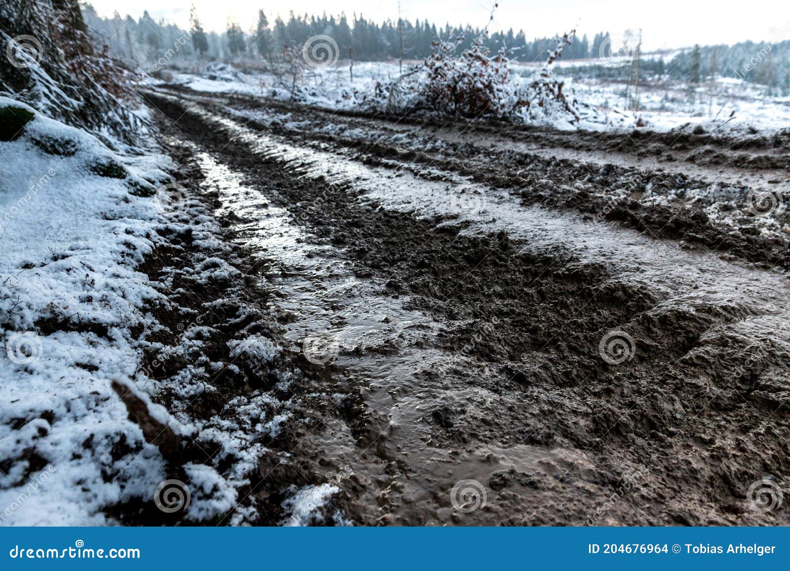 Muddy Path of a Forest Harvester in the Winter Stock Photo - Image of ...