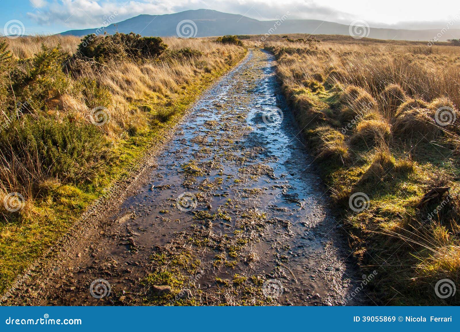 Muddy Path in a Moor in Rural Scotland Stock Image - Image of dirty ...