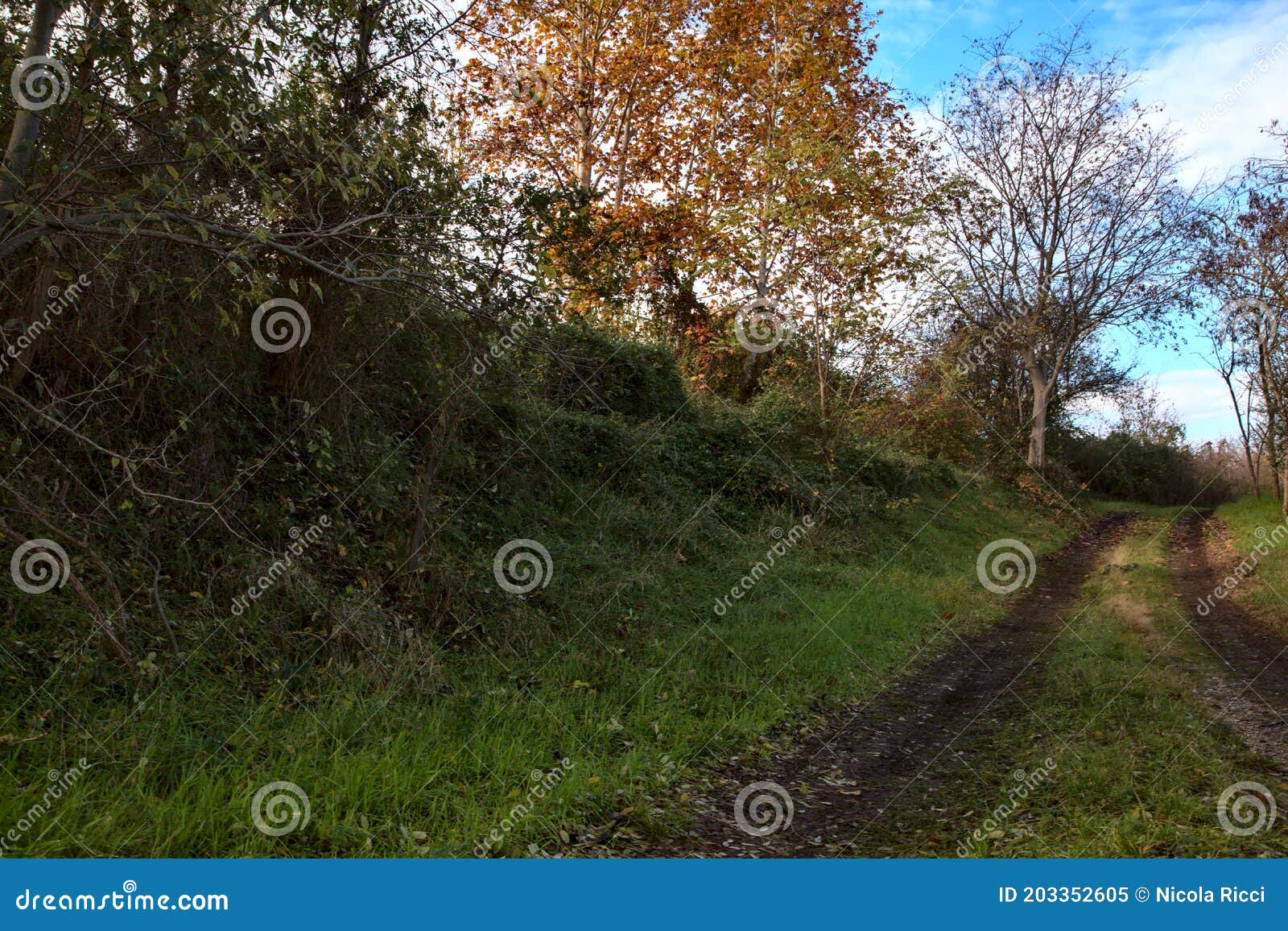 Muddy Path in a Park in the Countryside in Autumn Stock Image - Image ...