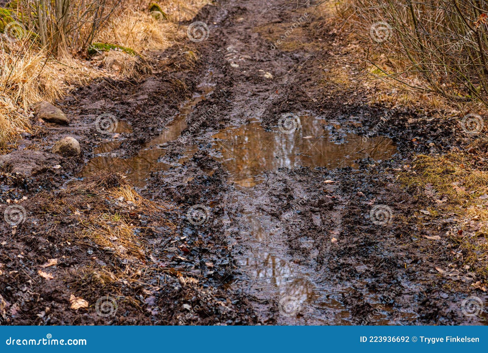 Muddy Path On Cidade Lakes On The Azores Islands Stock Photo ...