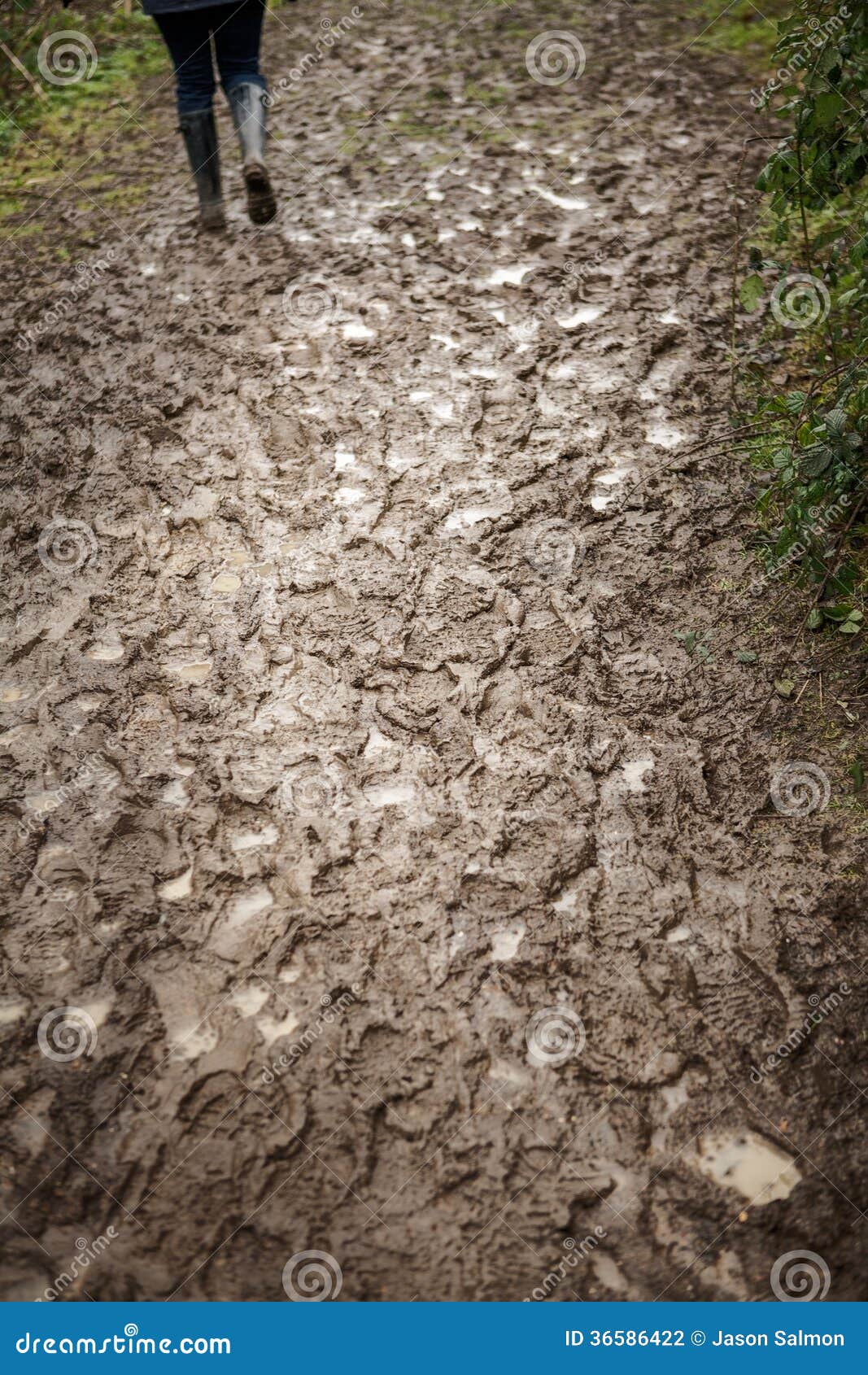 Muddy path stock photo. Image of boots, feet, muddy, person - 36586422