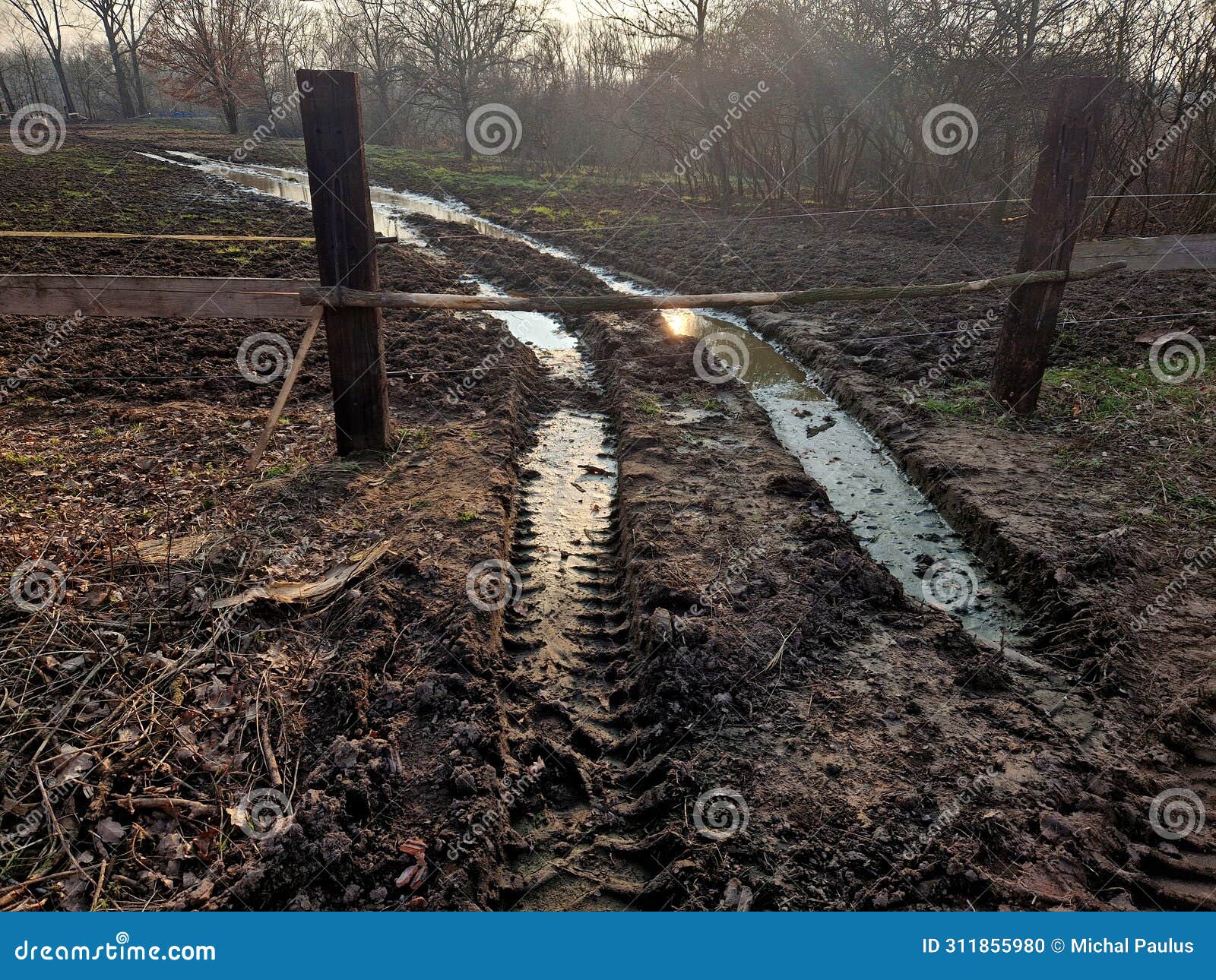 Muddy Paths through Fields and Paddocks. Ruts after Heavy Equipment ...
