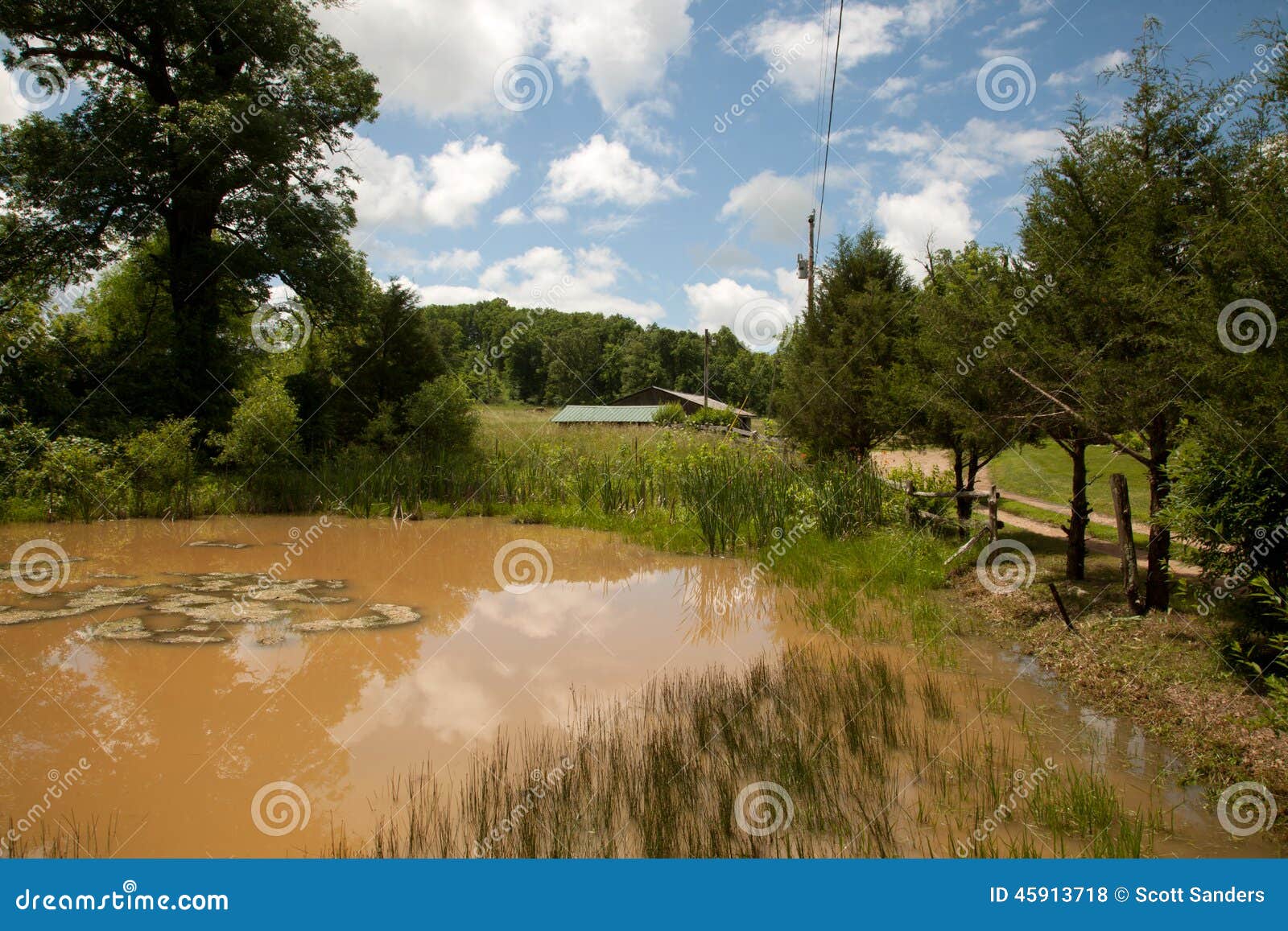 Muddy Pond stock photo. Image of countryside, muddy, nature - 45913718