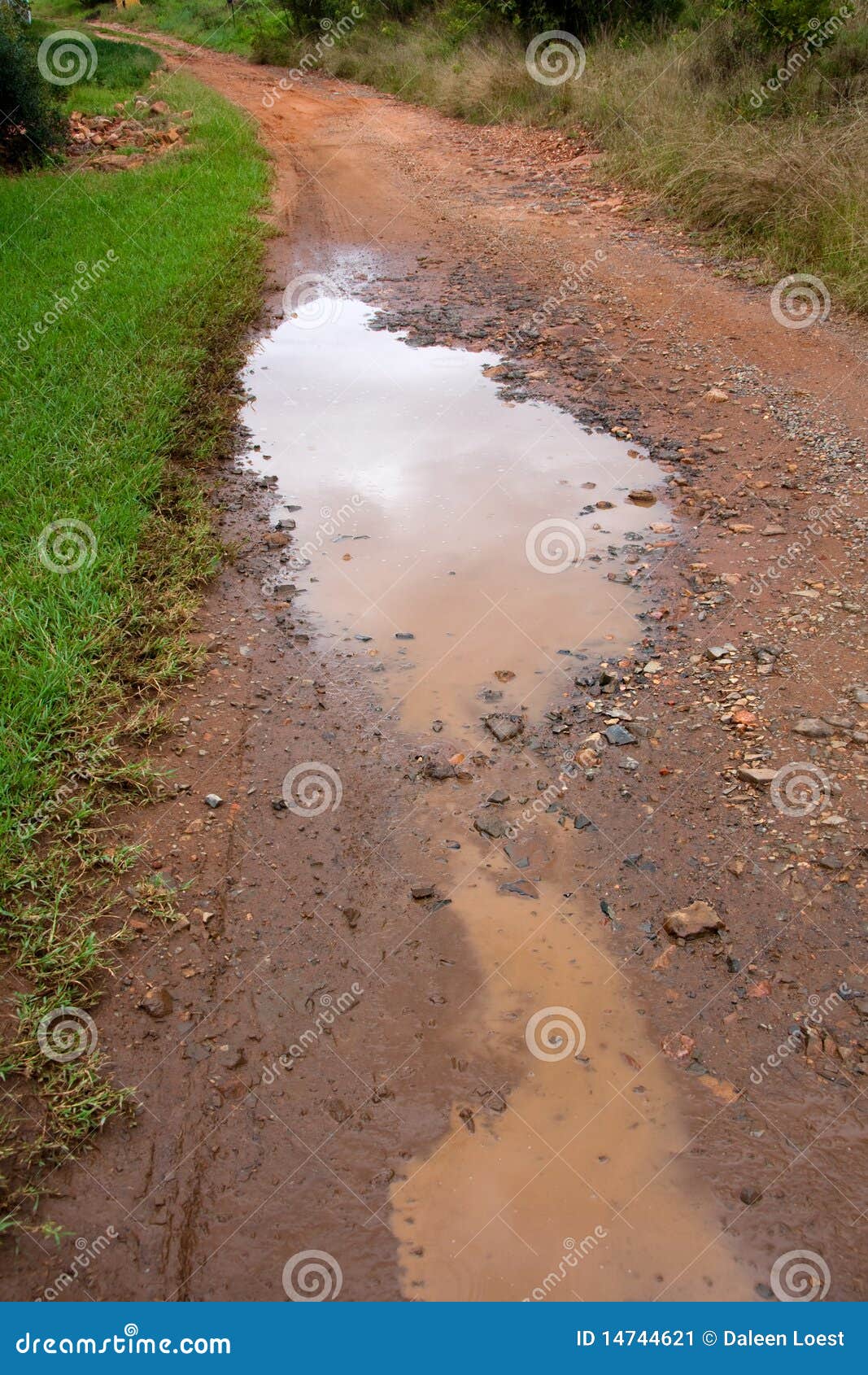 Muddy puddle stock image. Image of puddle, dirty, track - 14744621