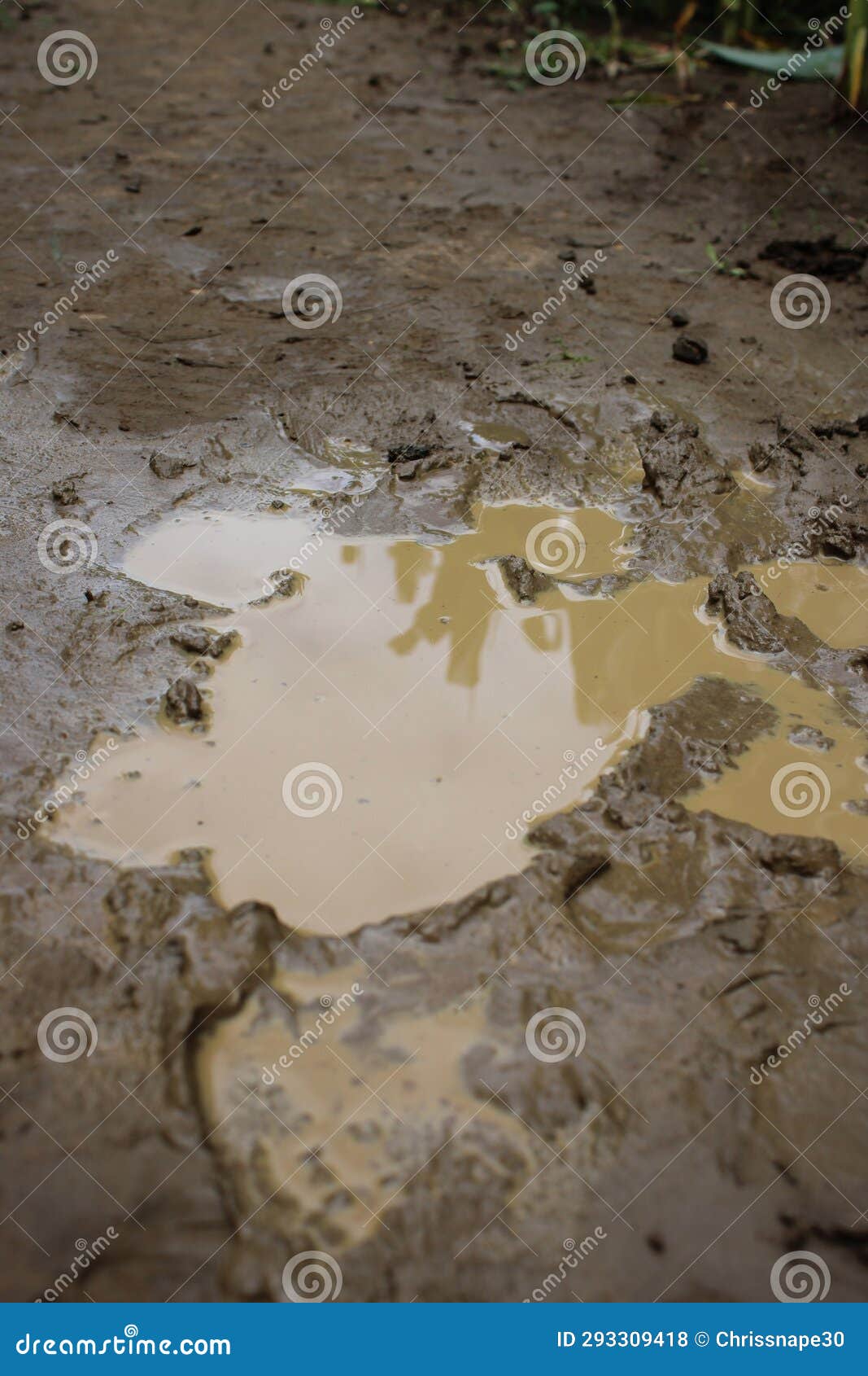 Muddy Puddle in the Middle of a Field Reflection on Water Stock Photo ...