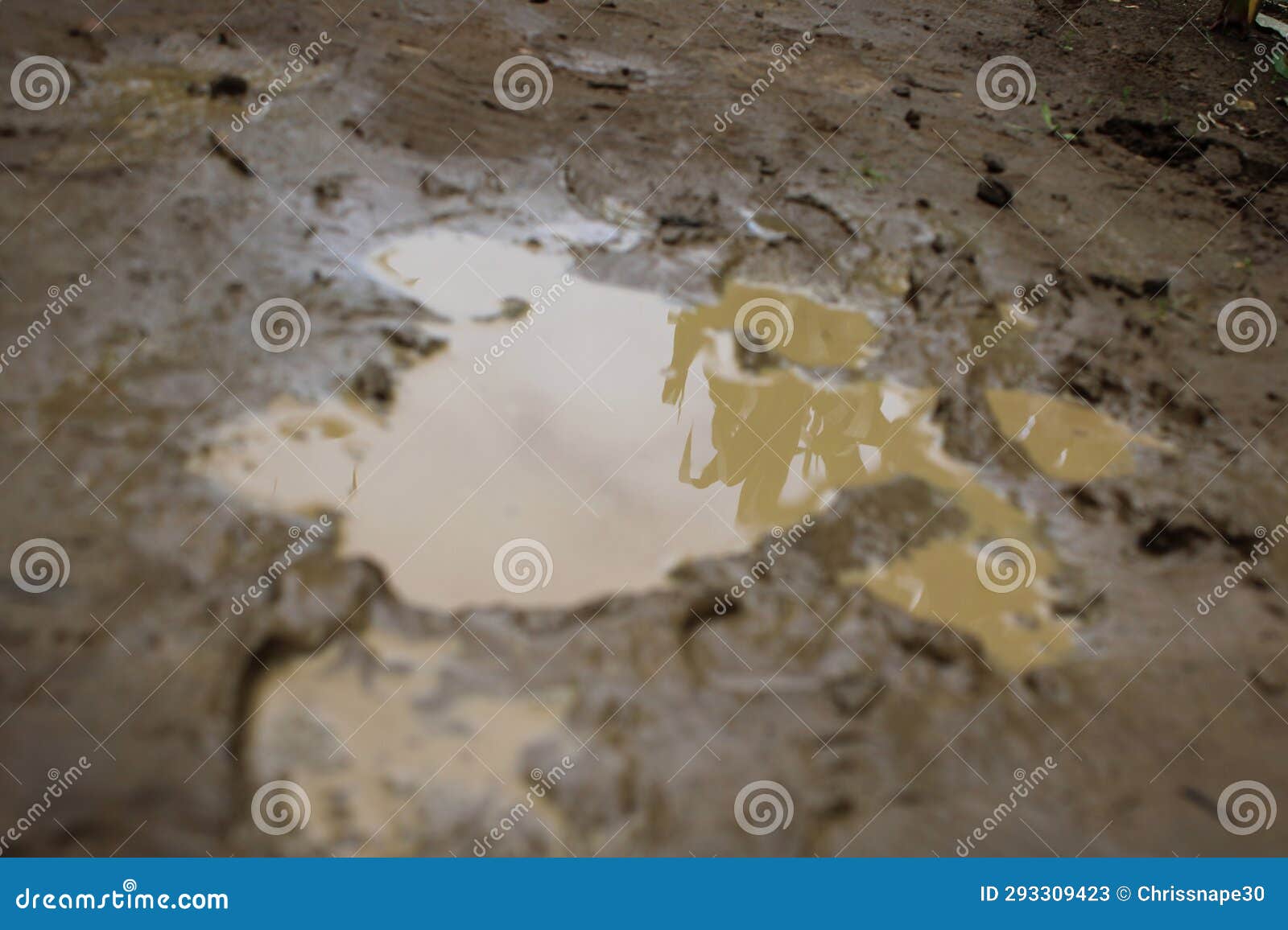 Muddy Puddle in the Middle of a Field Reflection on Water Stock Image ...
