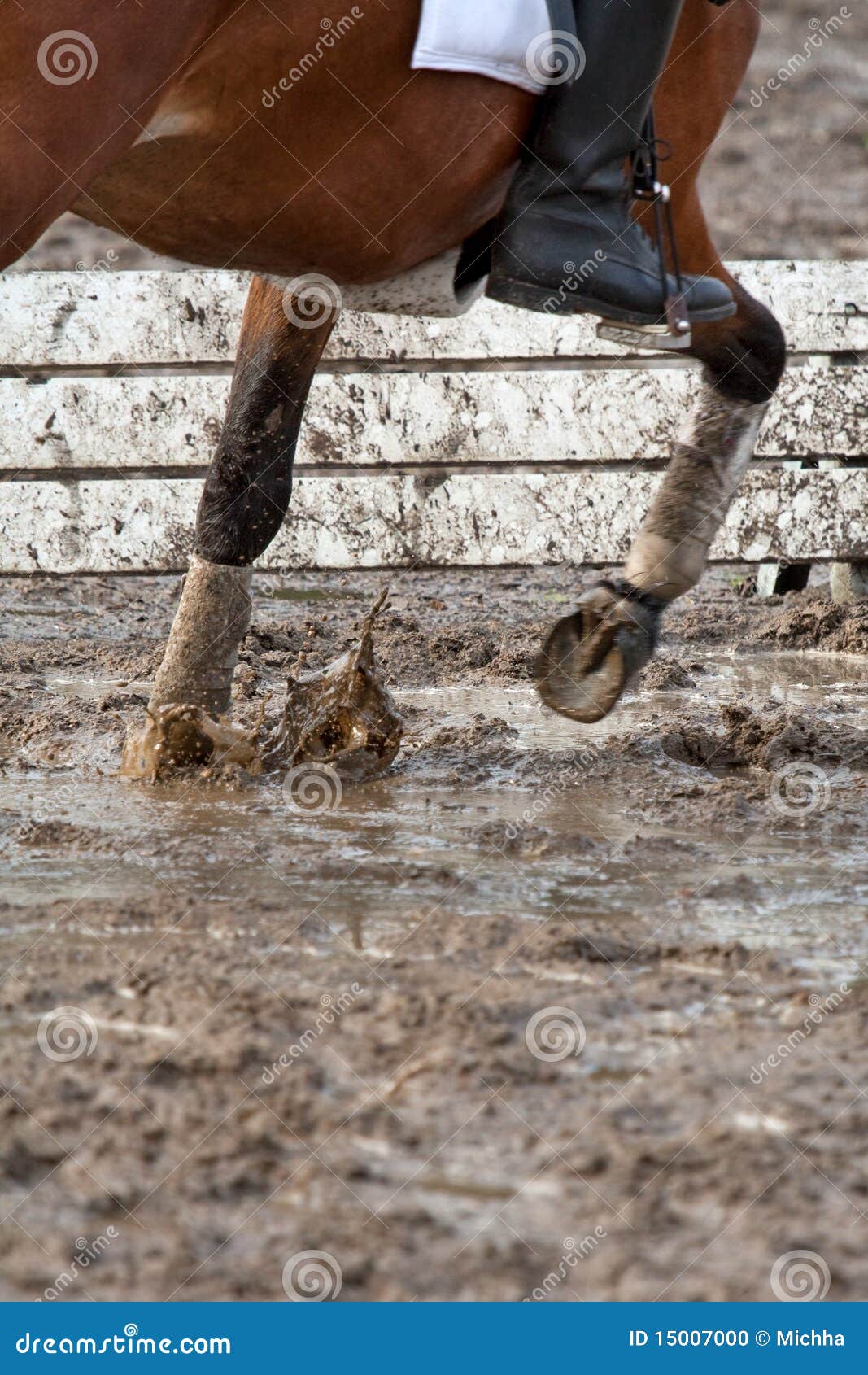 Muddy riding ground stock photo. Image of mammal, animal - 15007000