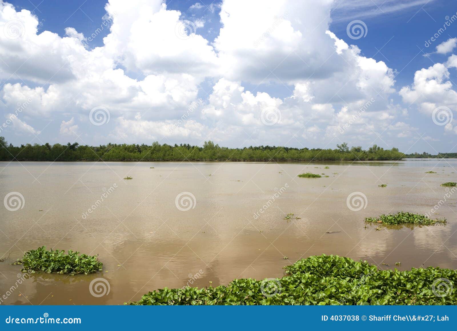 Muddy River stock photo. Image of waterway, stream, hyacinth - 4037038