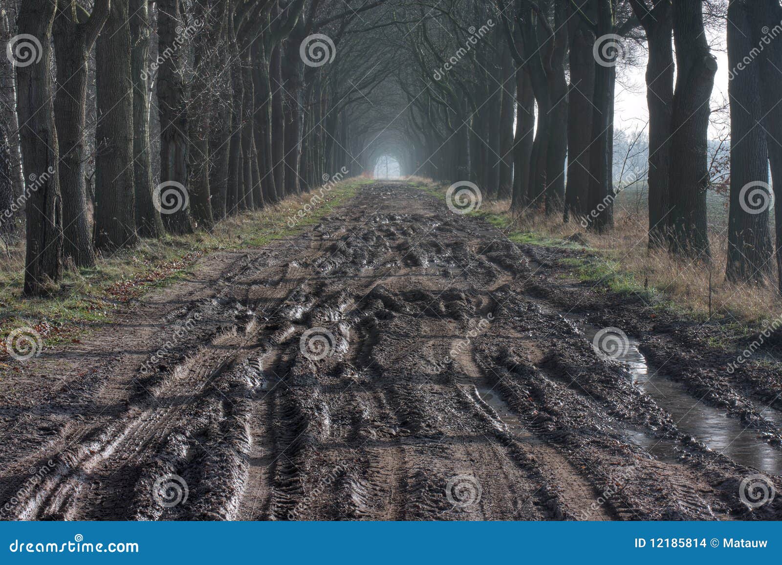 Muddy road stock photo. Image of countryside, muddy, season - 12185814