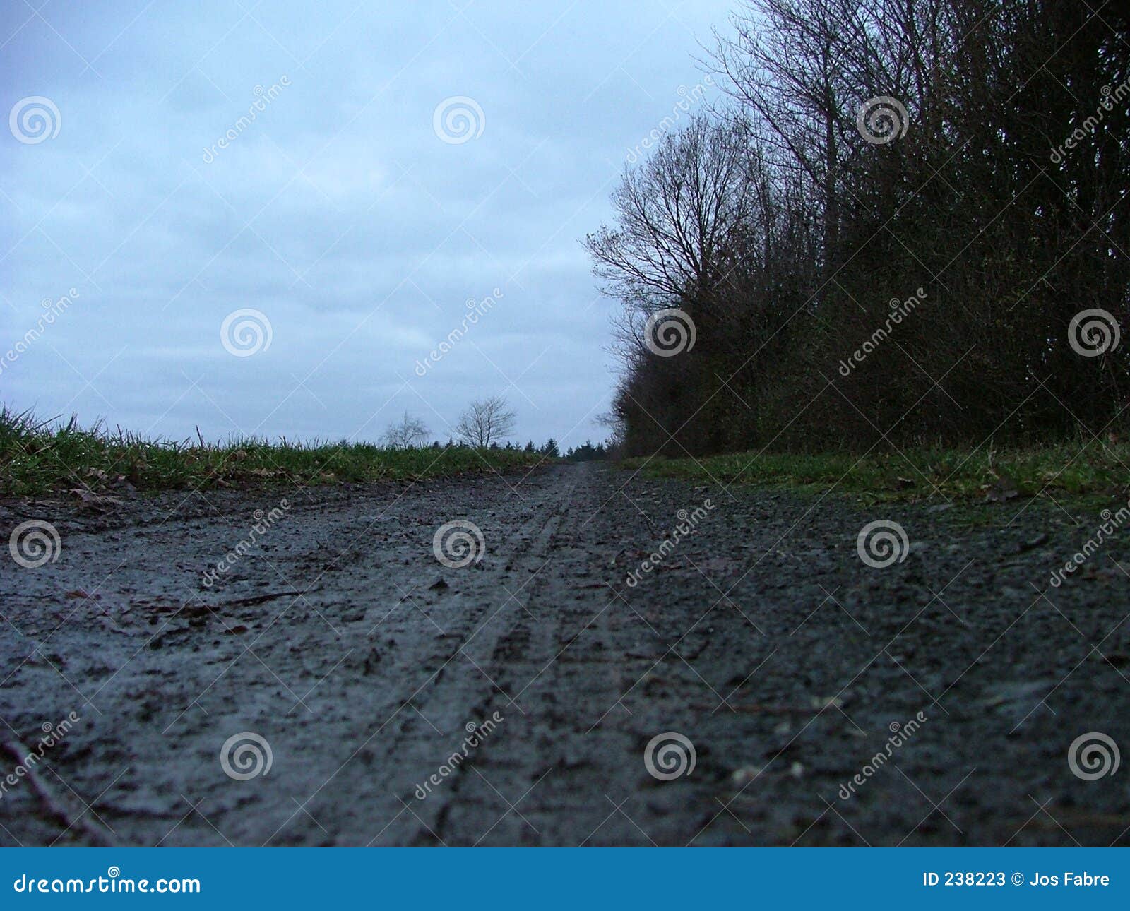 Muddy Road On Motutapu Island Stock Photography | CartoonDealer.com ...