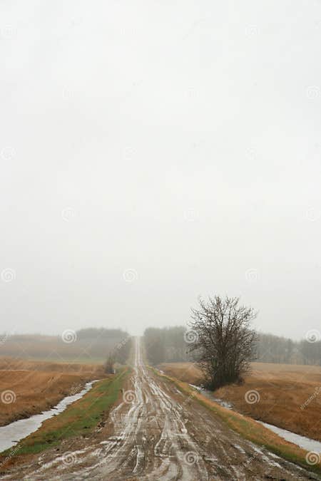 Muddy Road stock image. Image of road, rain, autumn, chill - 4071355