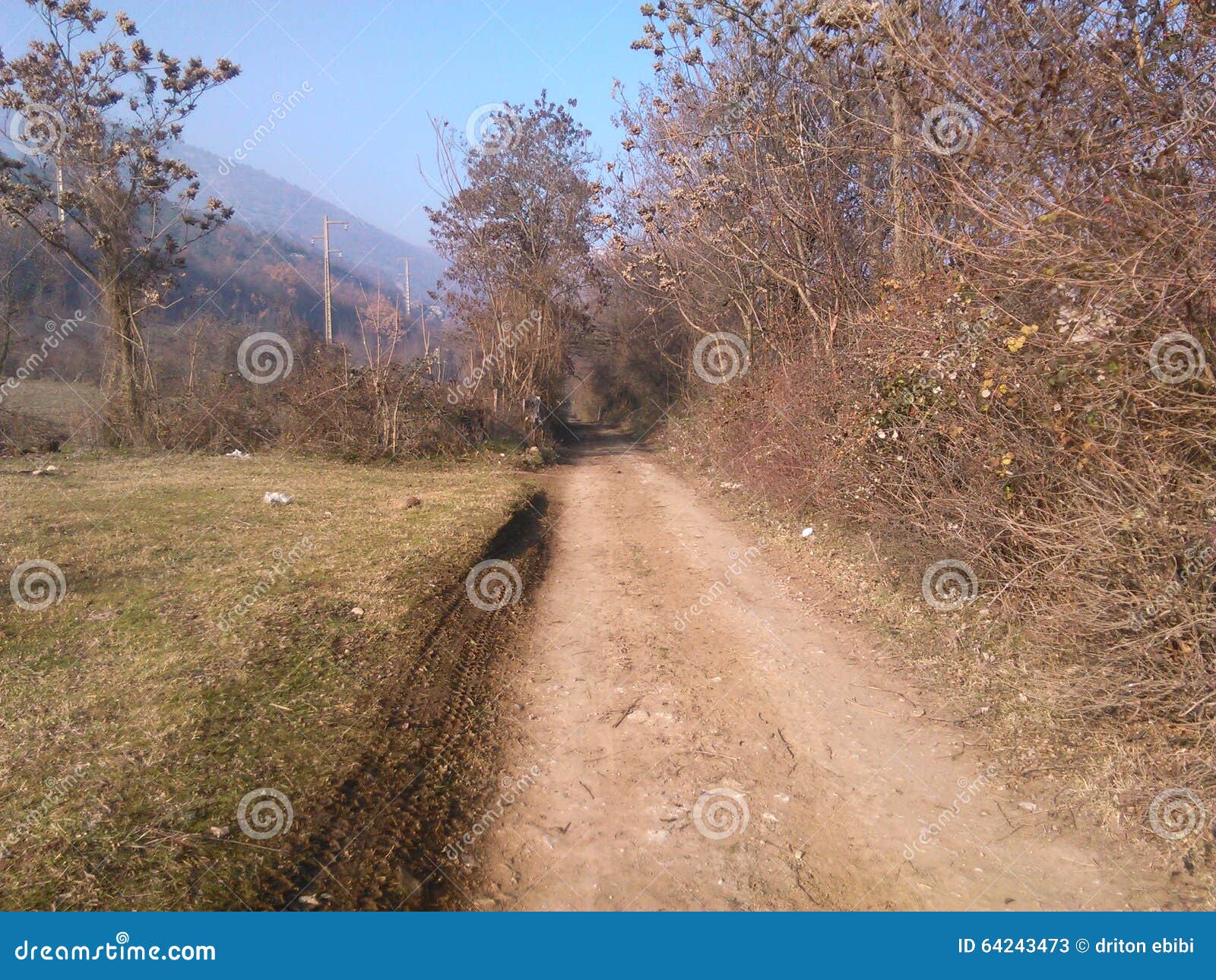 Muddy road stock image. Image of road, muddy, beautiful - 64243473