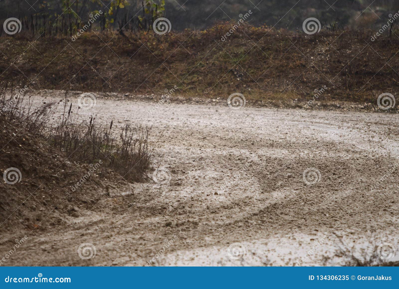 Muddy road in countryside stock image. Image of countryside - 134306235