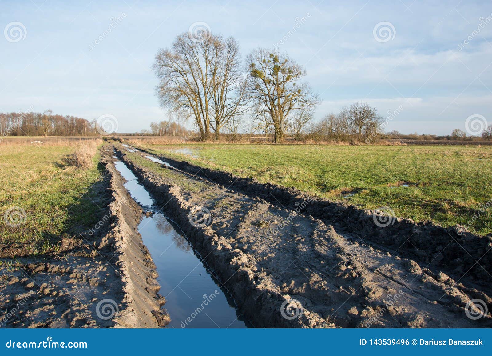 Muddy Road through Fields after Rain Stock Photo - Image of rural ...
