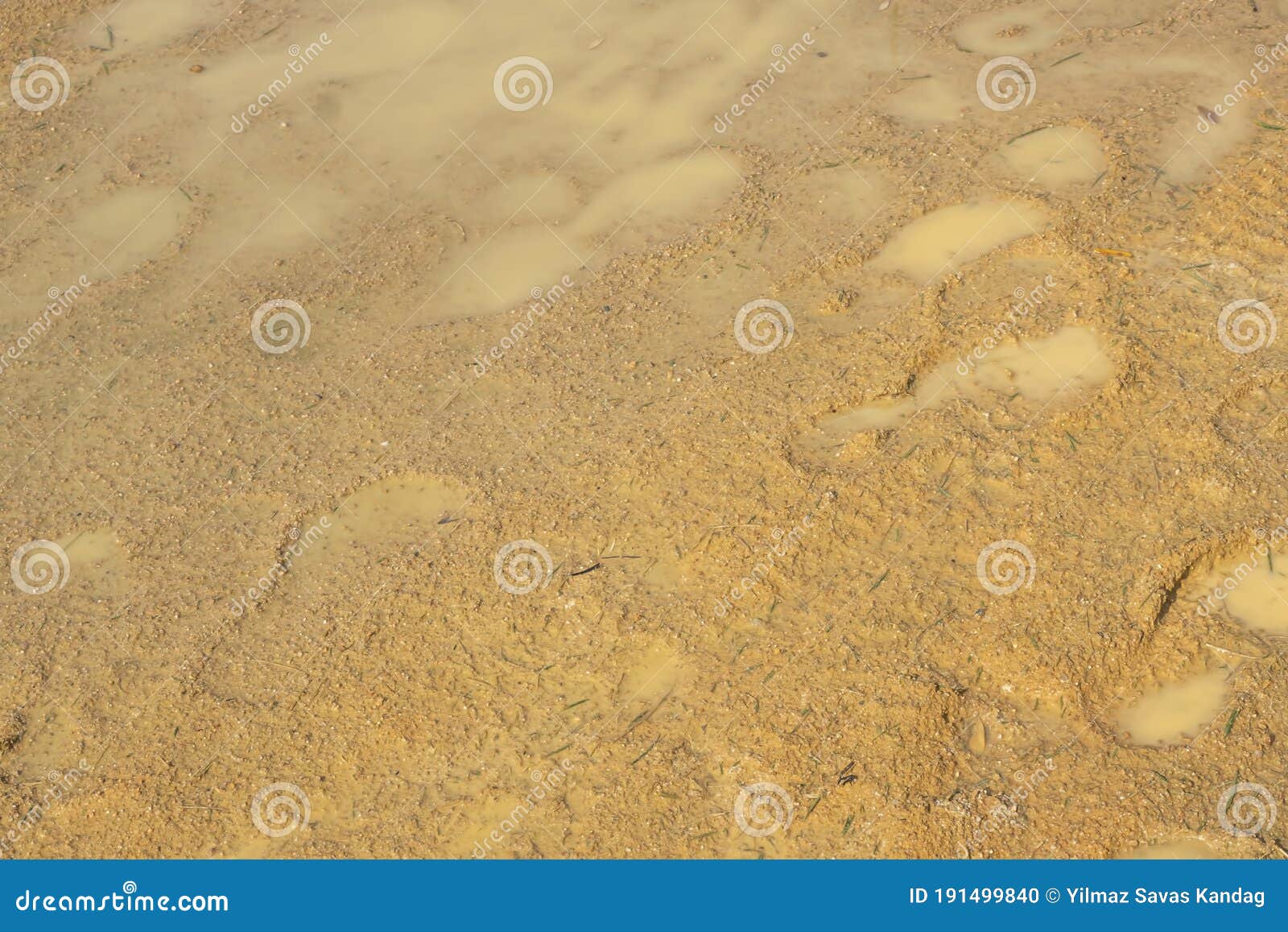 Muddy road and footprints stock photo. Image of terrain - 191499840