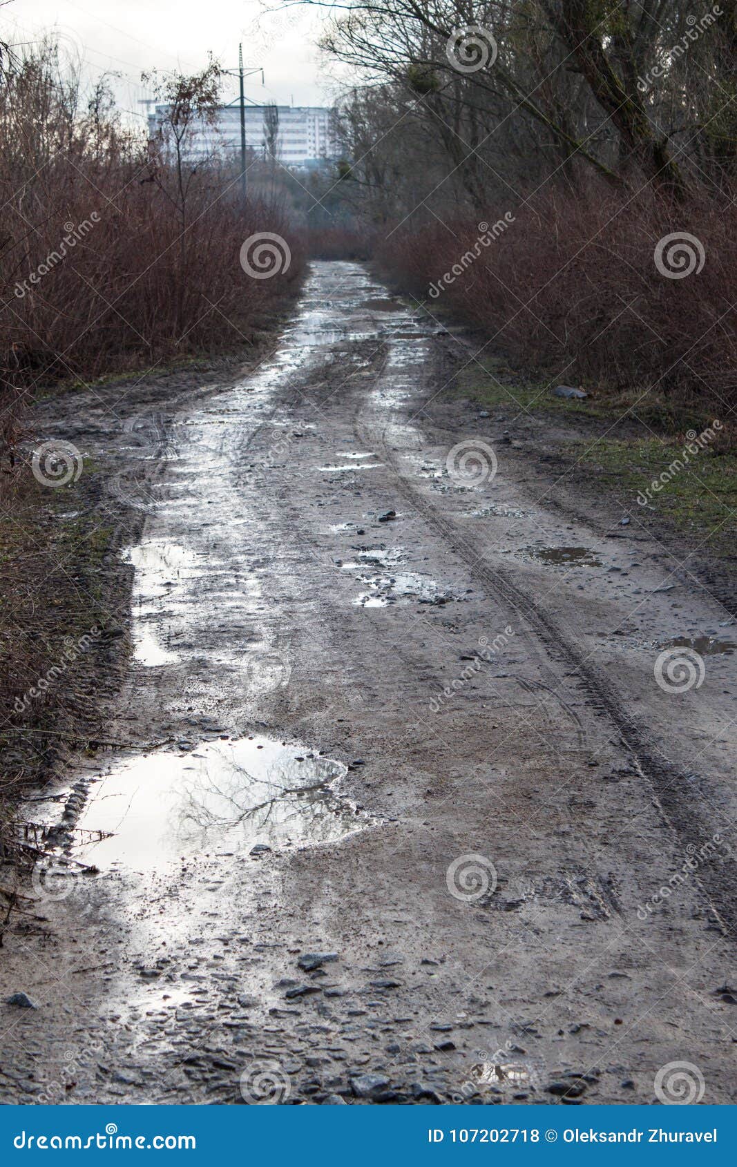 Muddy road stock photo. Image of transportation, shrub - 107202718
