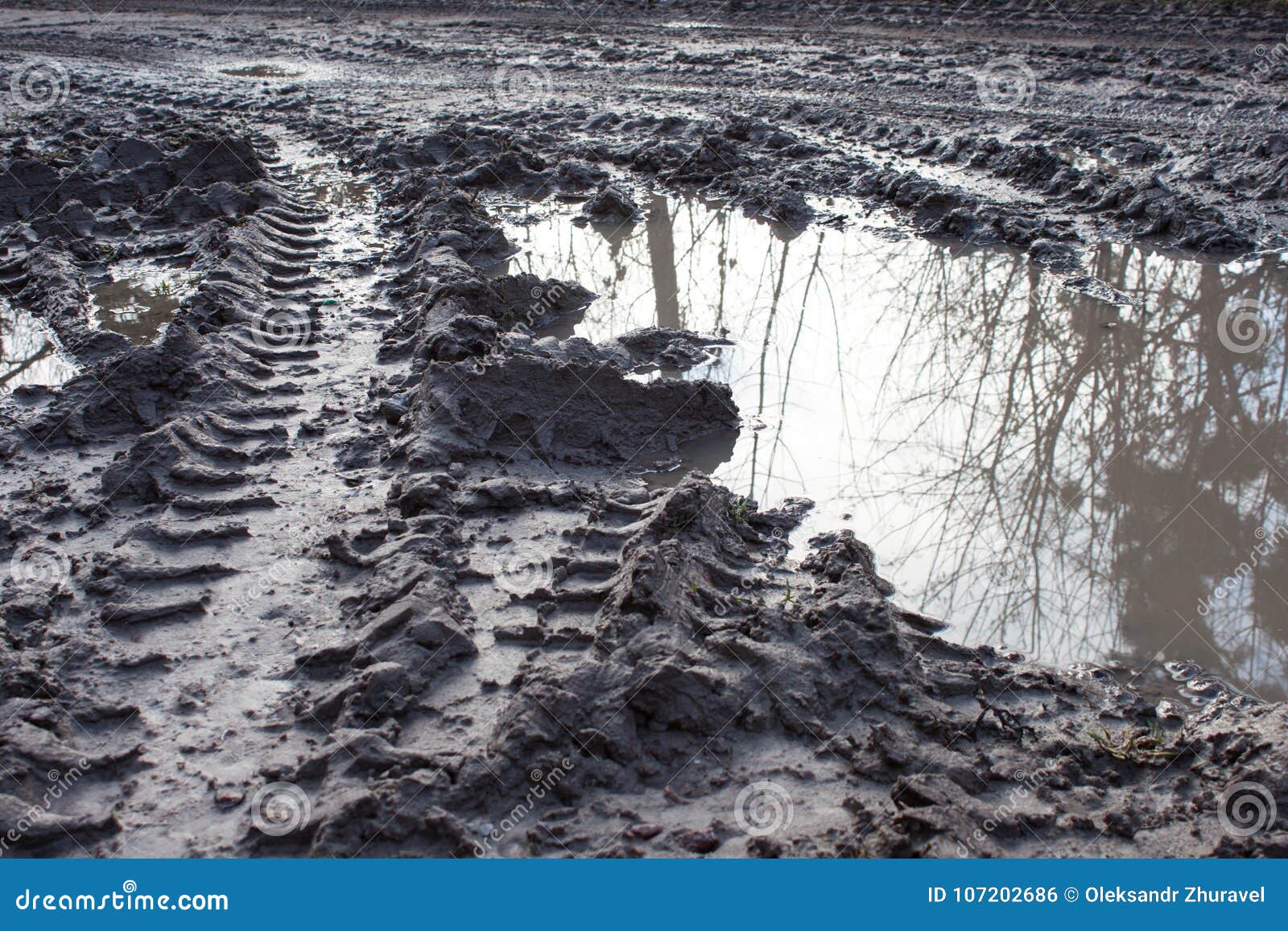 Muddy road stock photo. Image of adventure, autumn, drive - 107202686