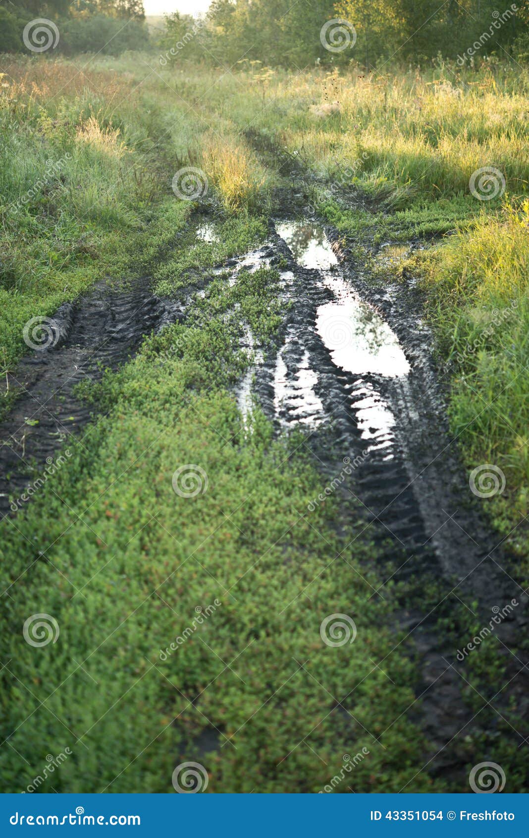 Muddy road stock photo. Image of scenic, path, adventure - 43351054