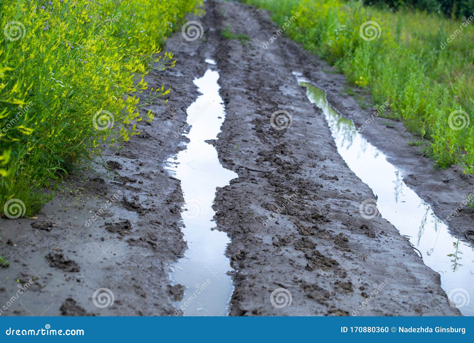 Muddy Road with Mud and Puddles in the Field Stock Photo - Image of ...