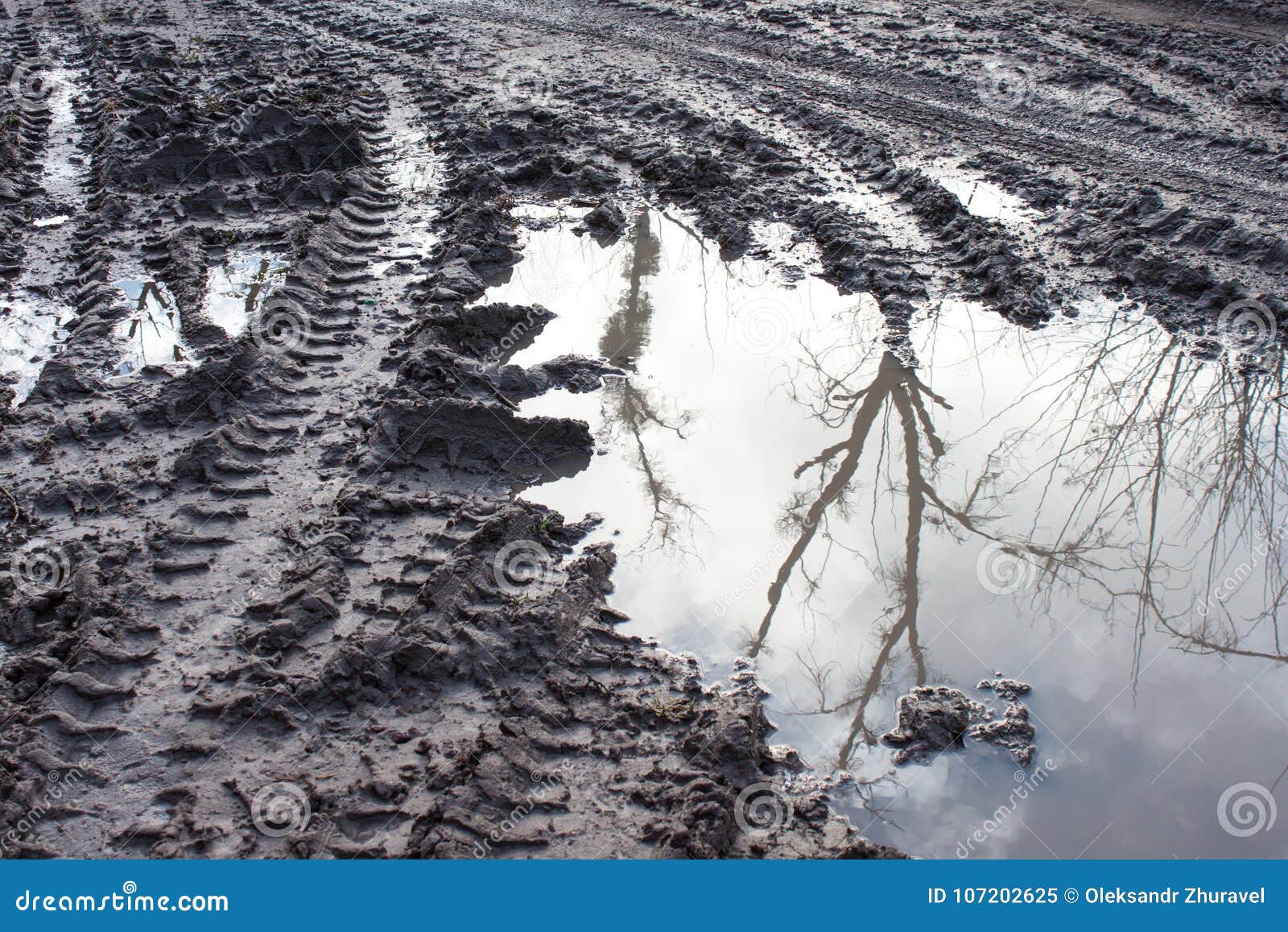 Muddy road stock image. Image of forest, landscape, extreme - 107202625