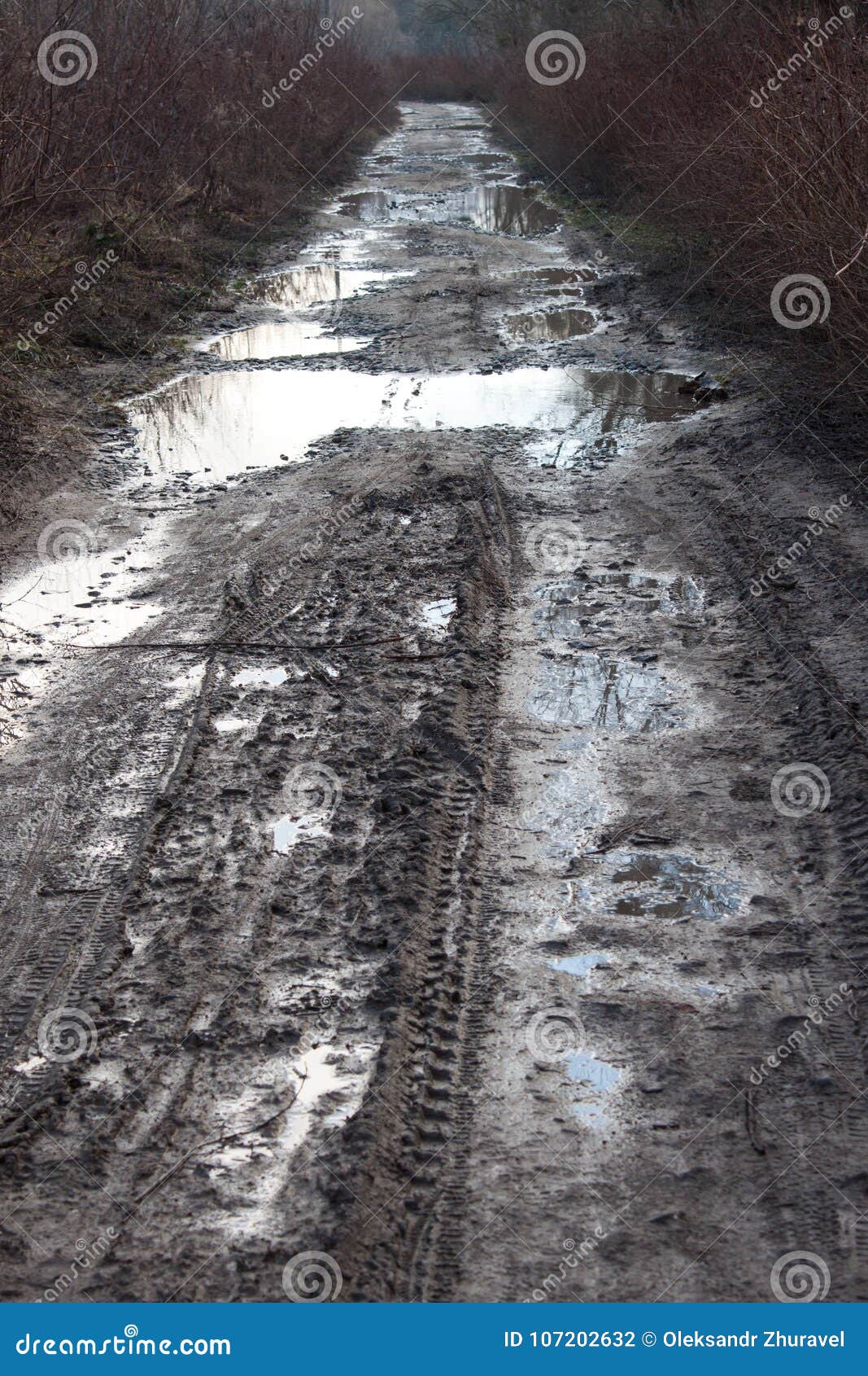 Muddy road stock photo. Image of tract, muddy, terrain - 107202632