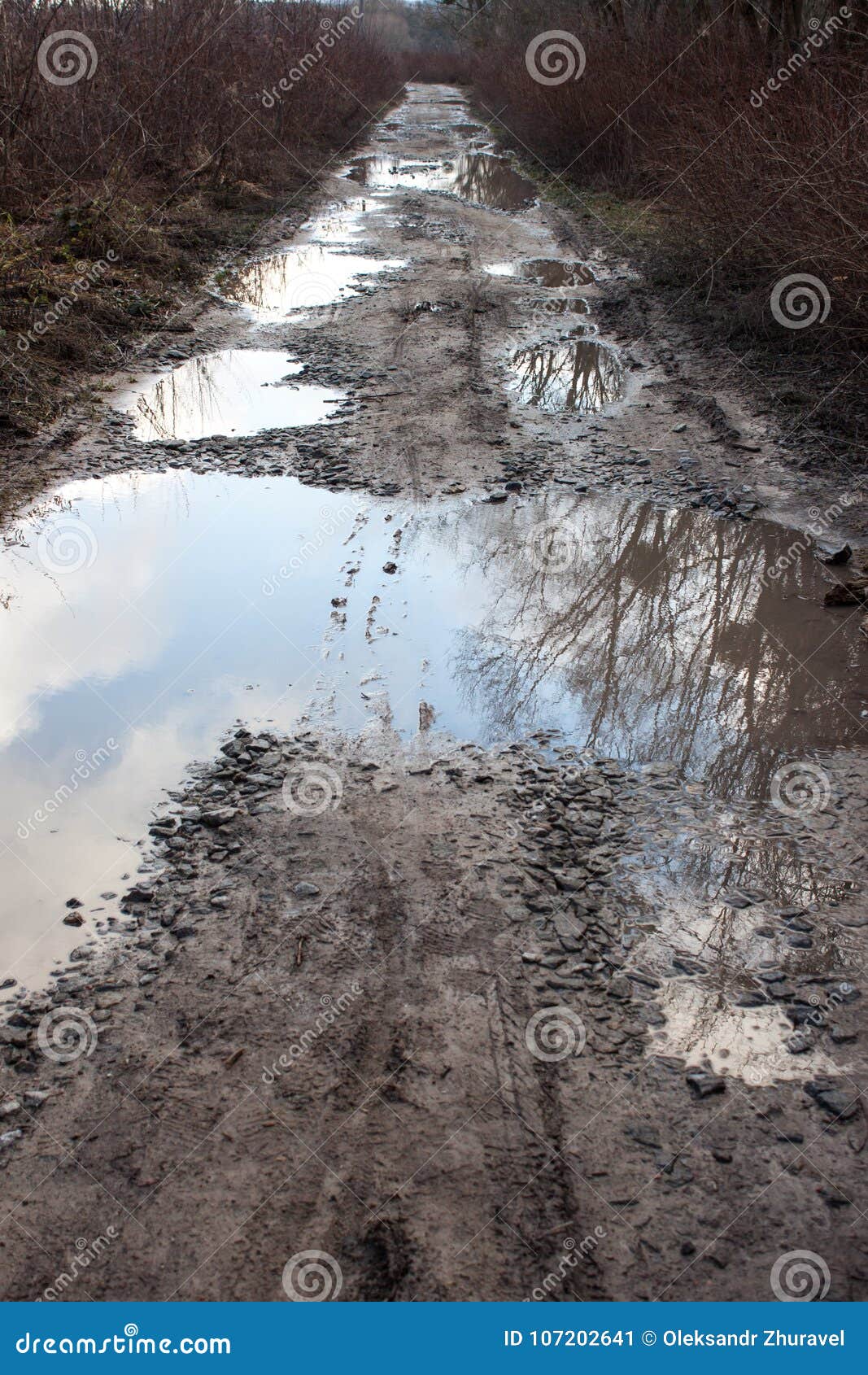 Muddy road stock image. Image of tract, road, flood - 107202641