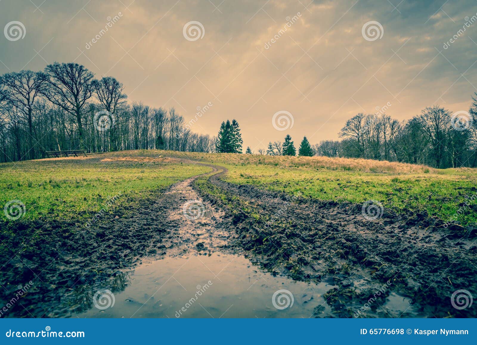 Muddy road with a puddle stock photo. Image of puddle - 65776698